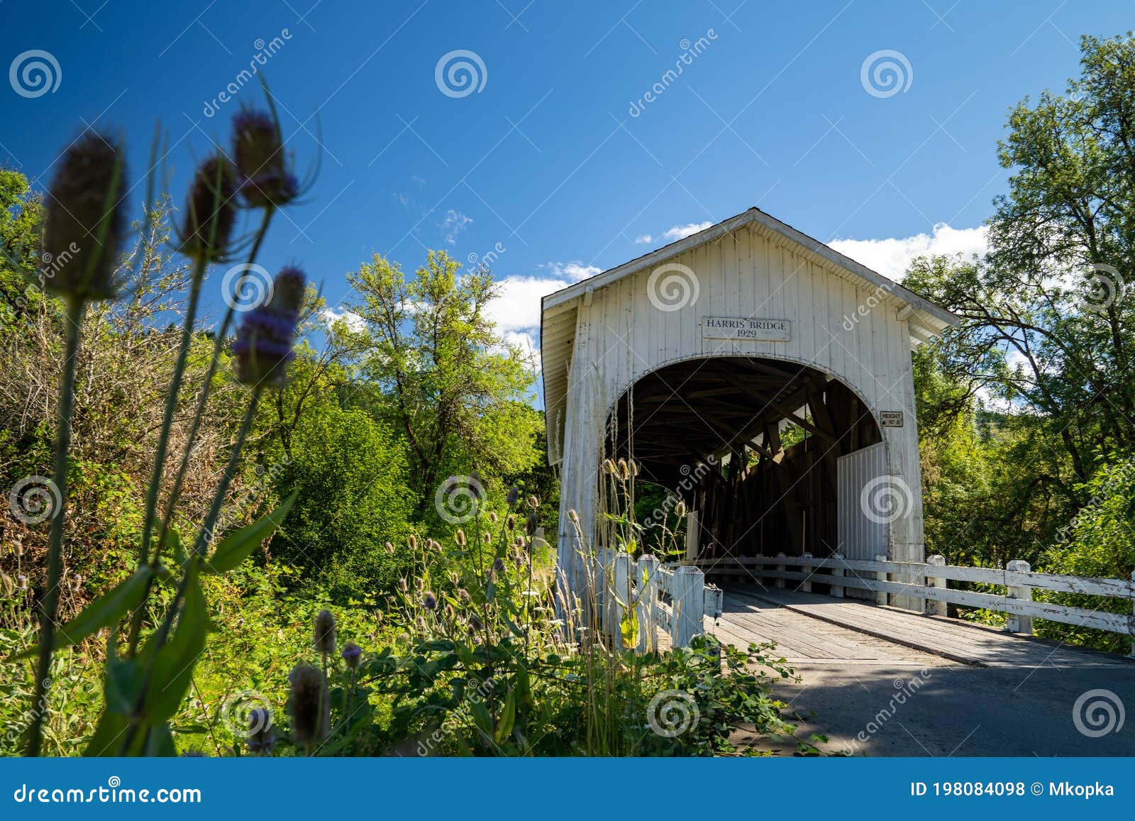 The Harris Covered Bridge in Philomath, Oregon, Built in 1929 Stock ...