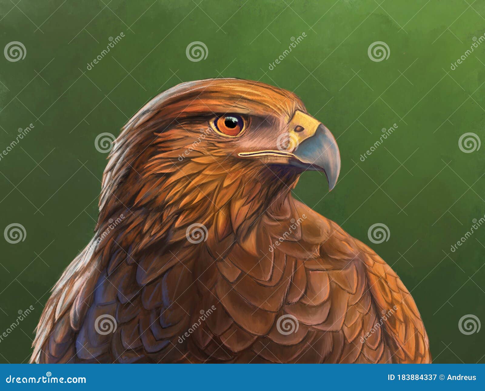 Harris hawk portrait stock illustration. Illustration of glory - 183884337