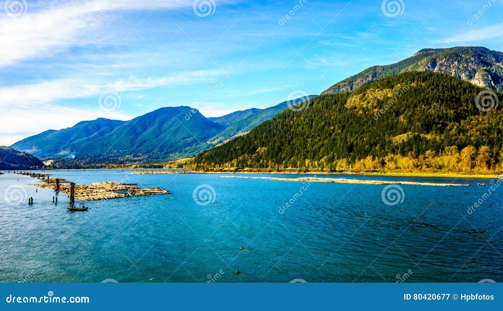 Harrison River at Harrison Mills As it Flows through the Fraser Valley ...