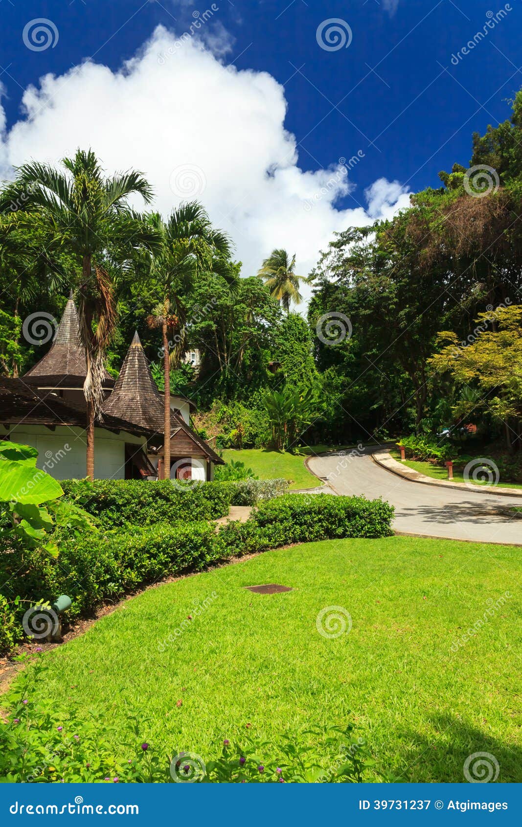 Harrison s Cave, Barbados editorial photography. Image of carribean ...