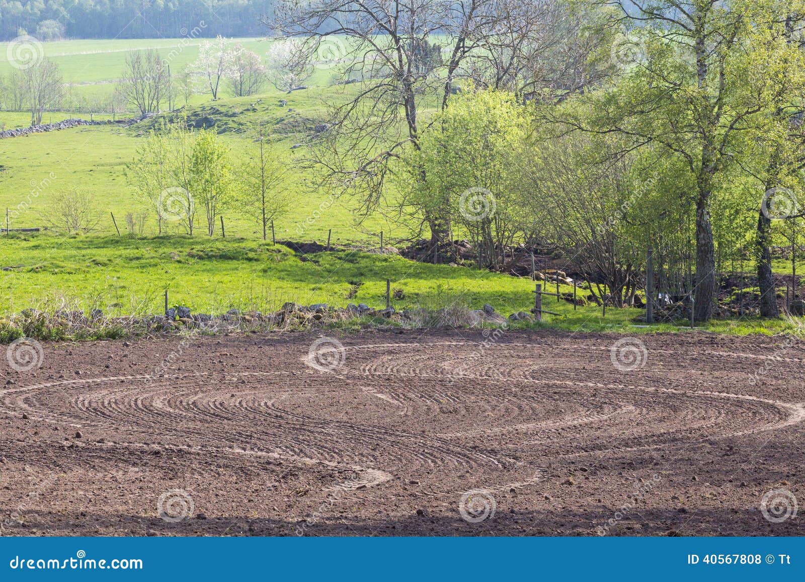 Harrowed field stock photo. Image of field, deciduous - 40567808