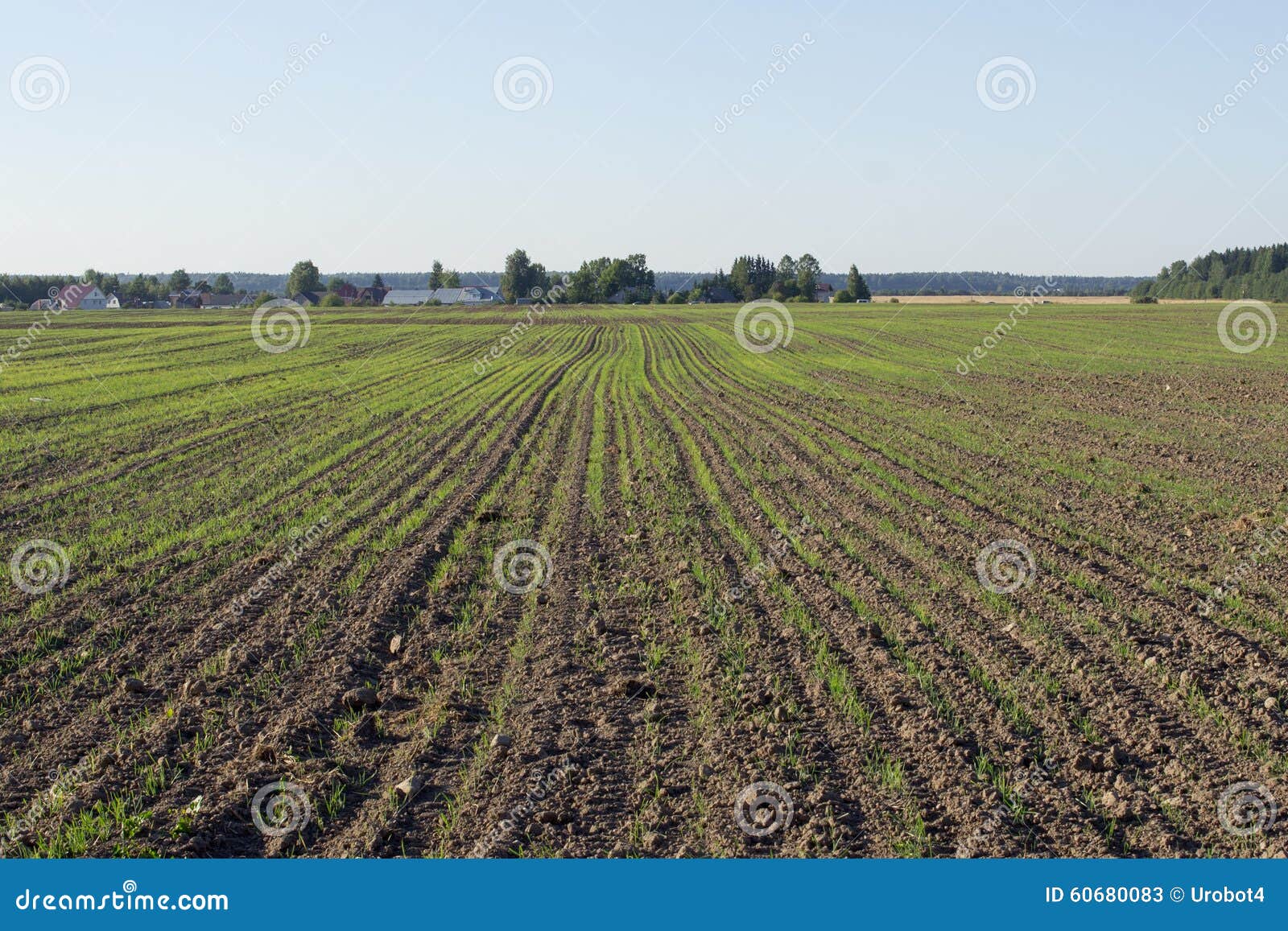 Harrowed Field stock image. Image of nature, background - 60680083