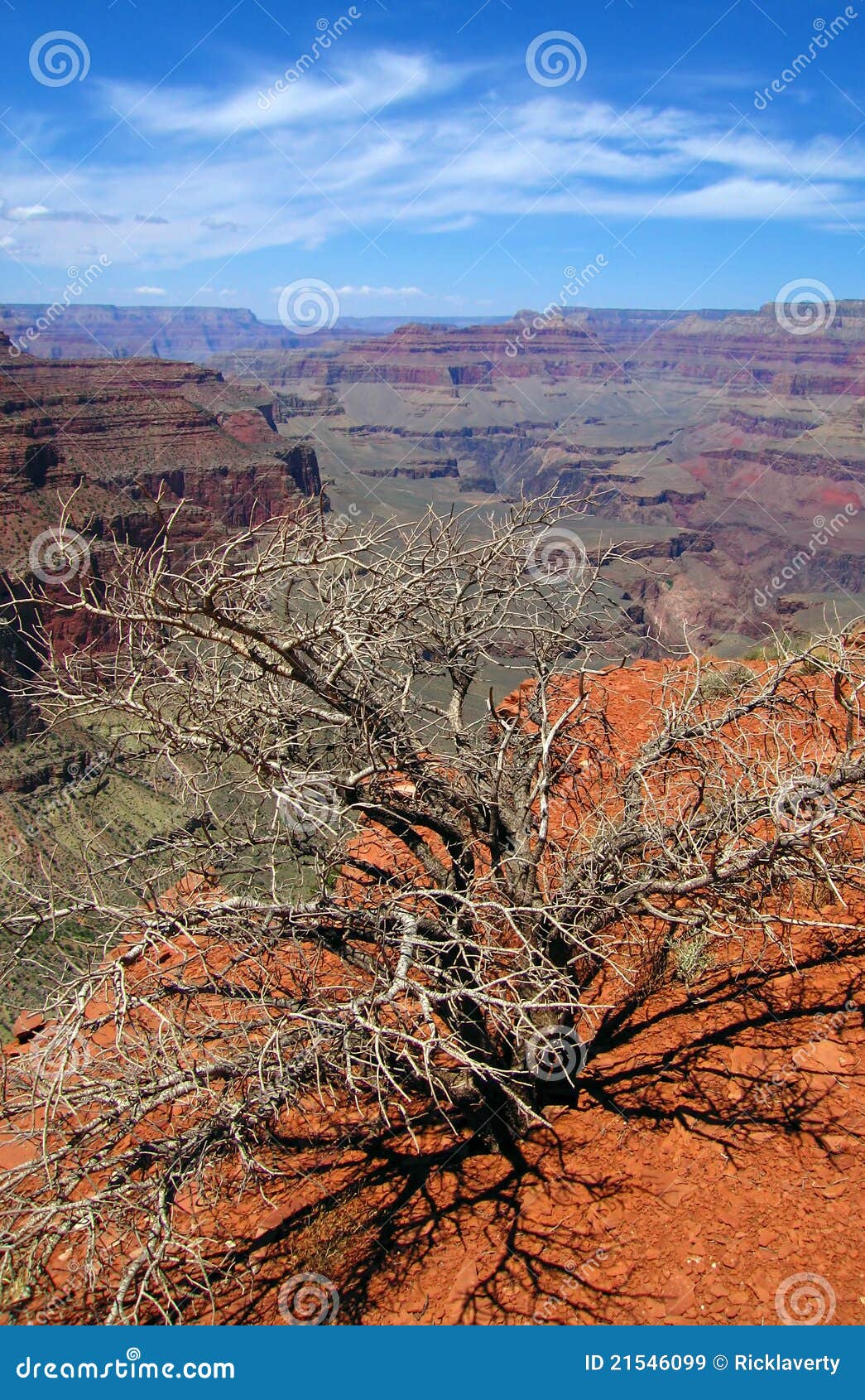 Harsh Environment stock image. Image of united, geology - 21546099