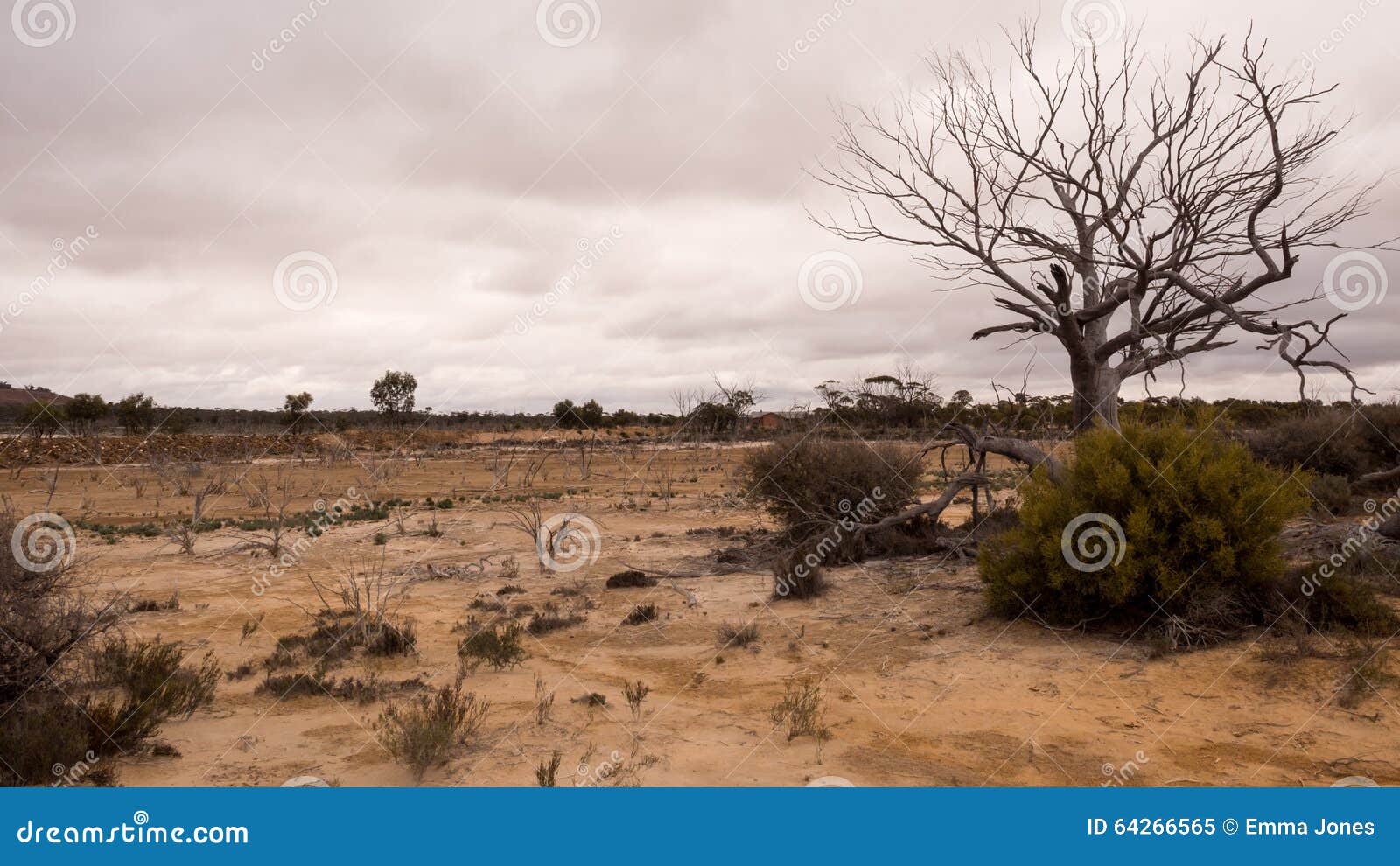 Harsh Environment, Western Australia Stock Image - Image of deadly ...