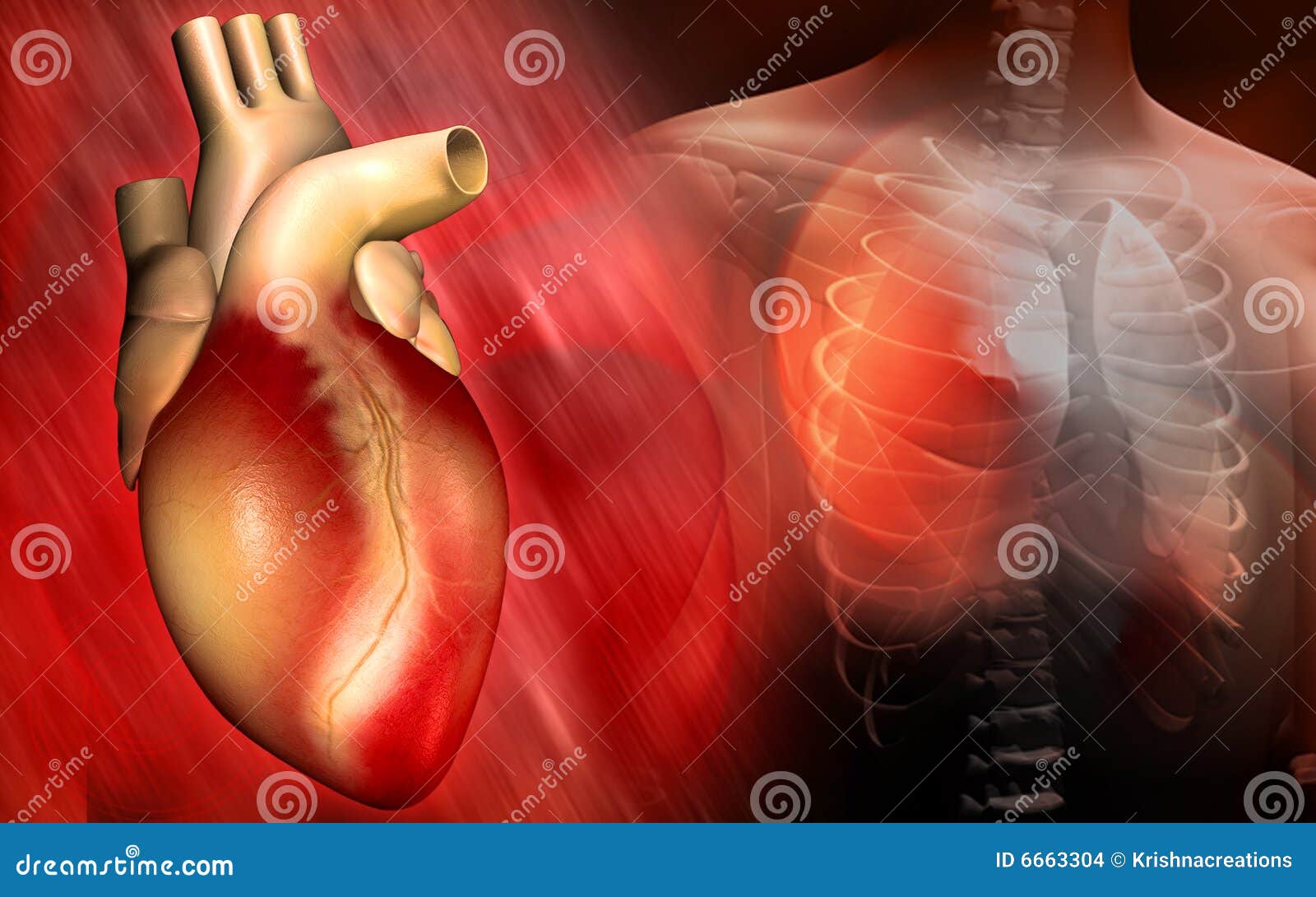 Hart en menselijk lichaam stock illustratie. Illustration of ...