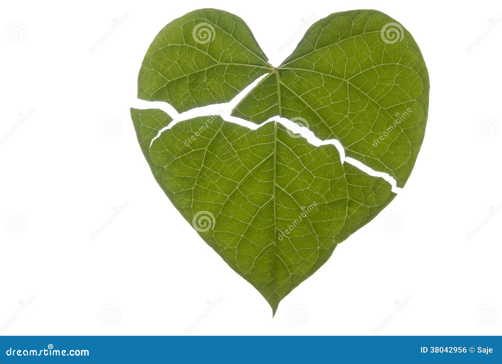 Hart Gevormd Gebroken Blad stock foto. Image of samenvatting - 38042956