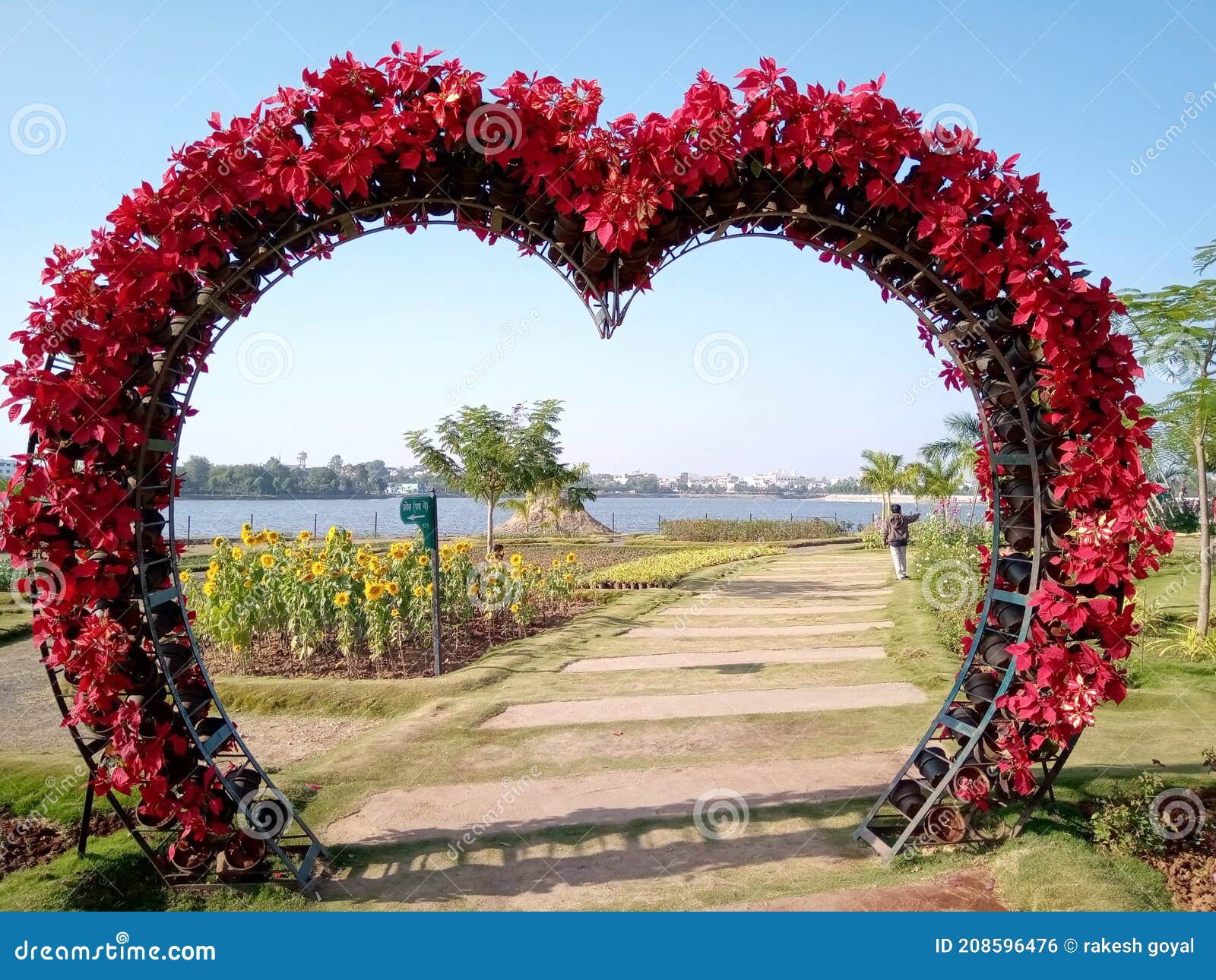 Hart shape dil editorial photo. Image of screenshot - 208596476