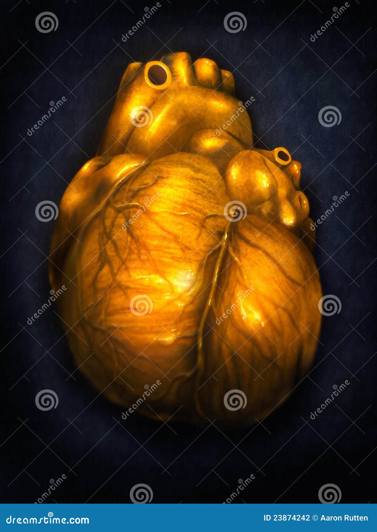 Hart Van Goud - Het Digitale Schilderen Stock Foto - Image of menselijk, digitaal: 23874242