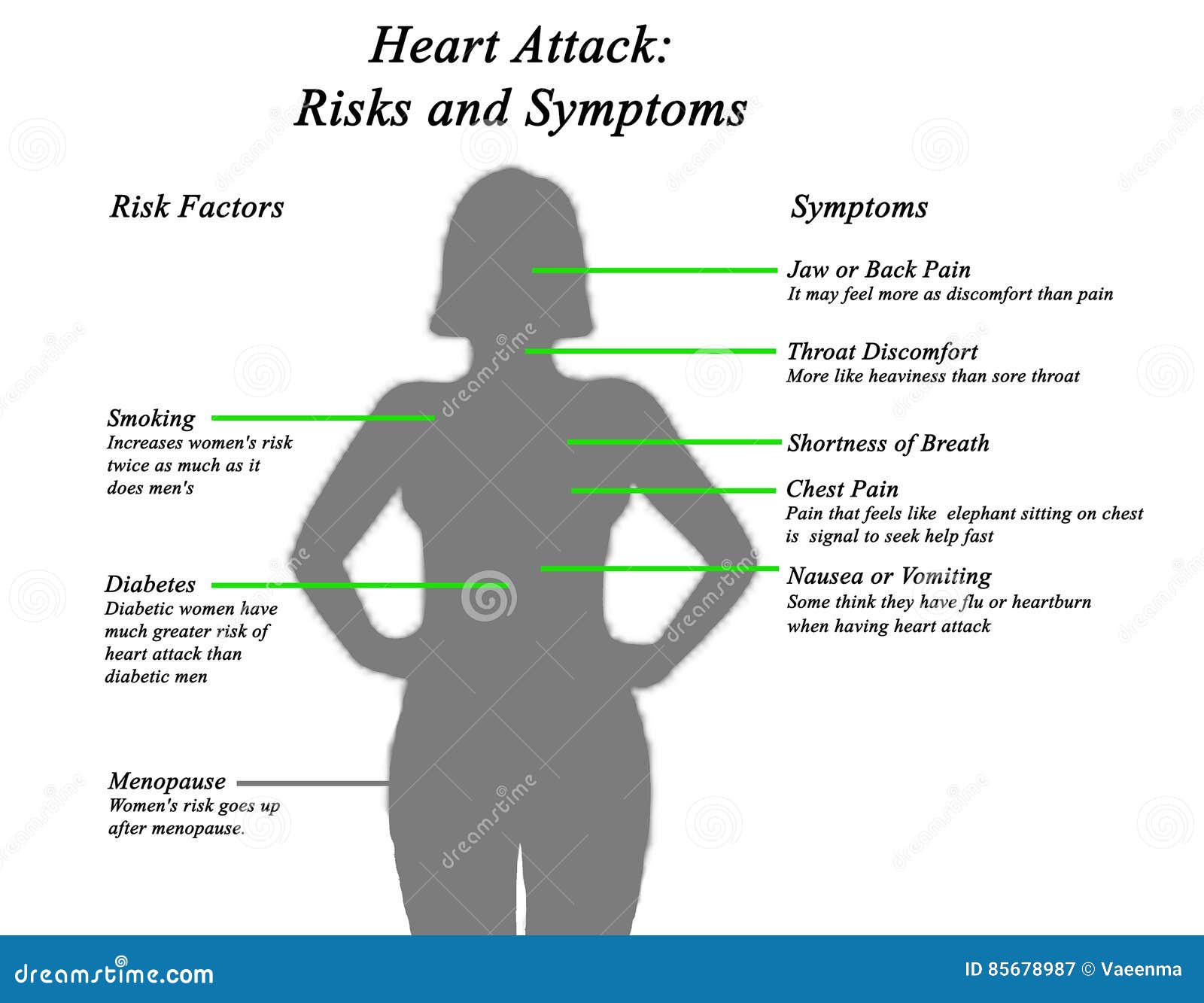 Hartaanval: Risico's En Symptomen Stock Illustratie - Illustration of ...