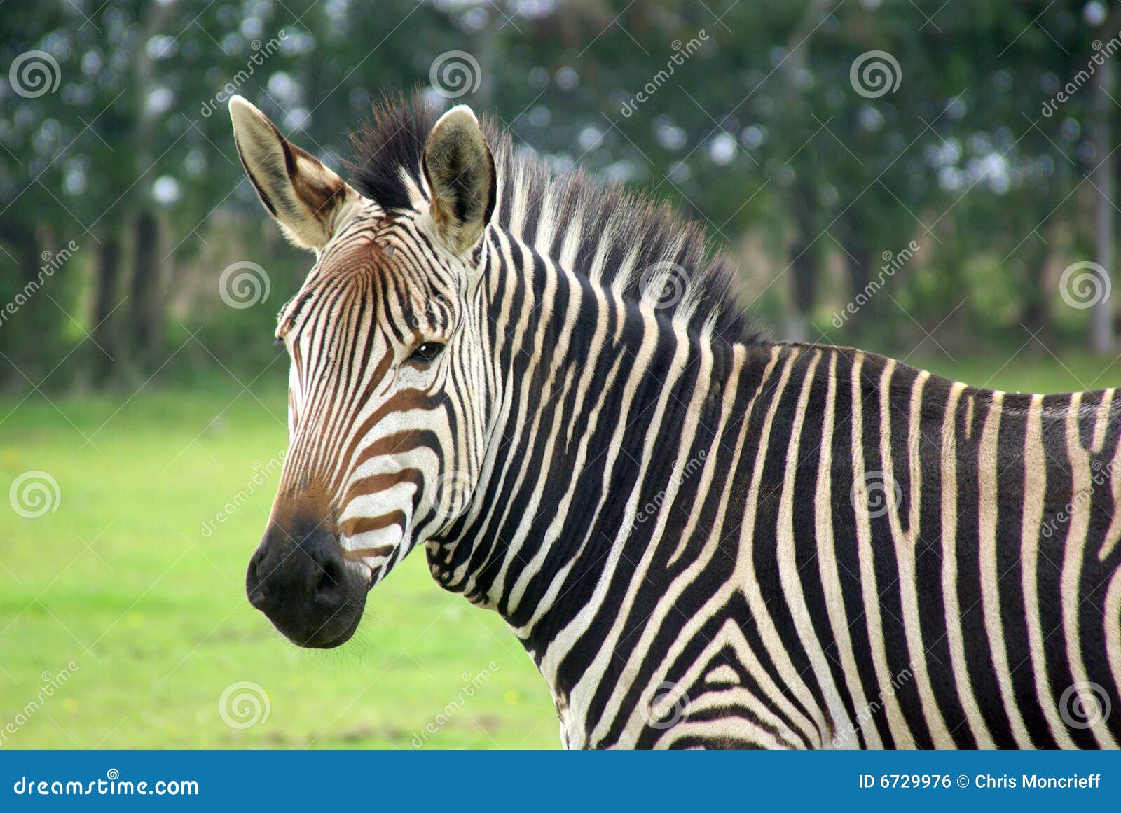 Mountain Zebra National Park, South Africa: War Graves From The Anglo ...