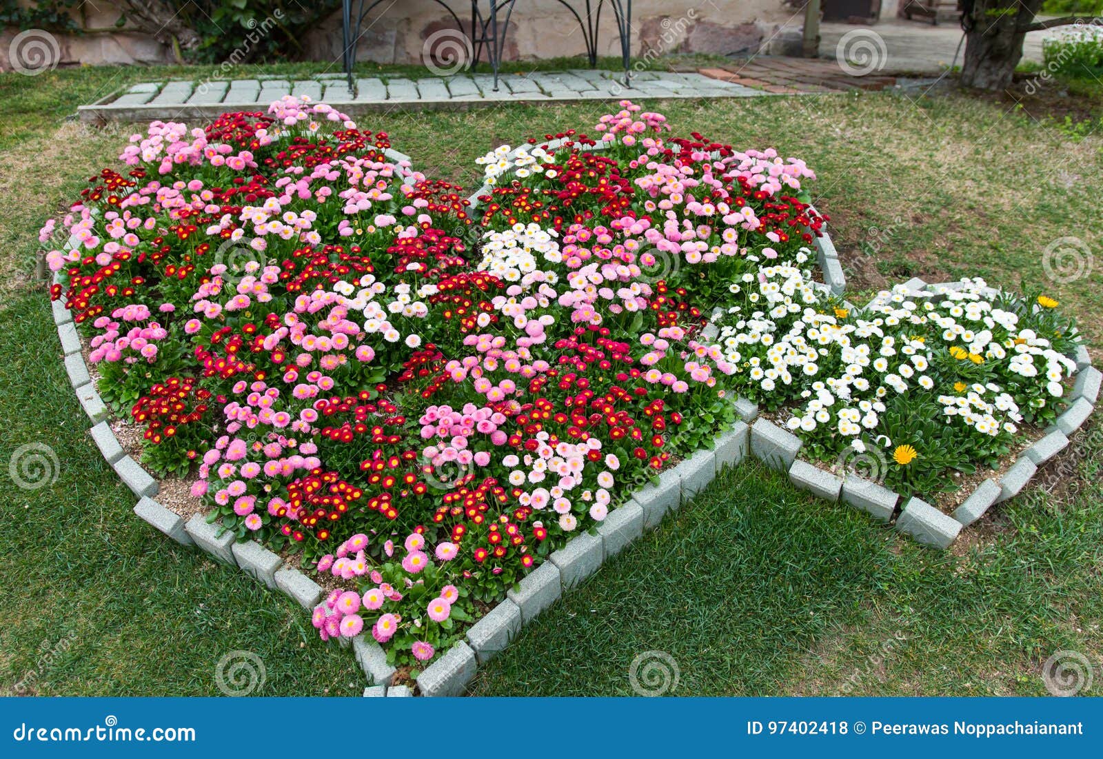 Hartvorm Van Roze En Rode Bloementuin Stock Foto - Image of decoratie ...