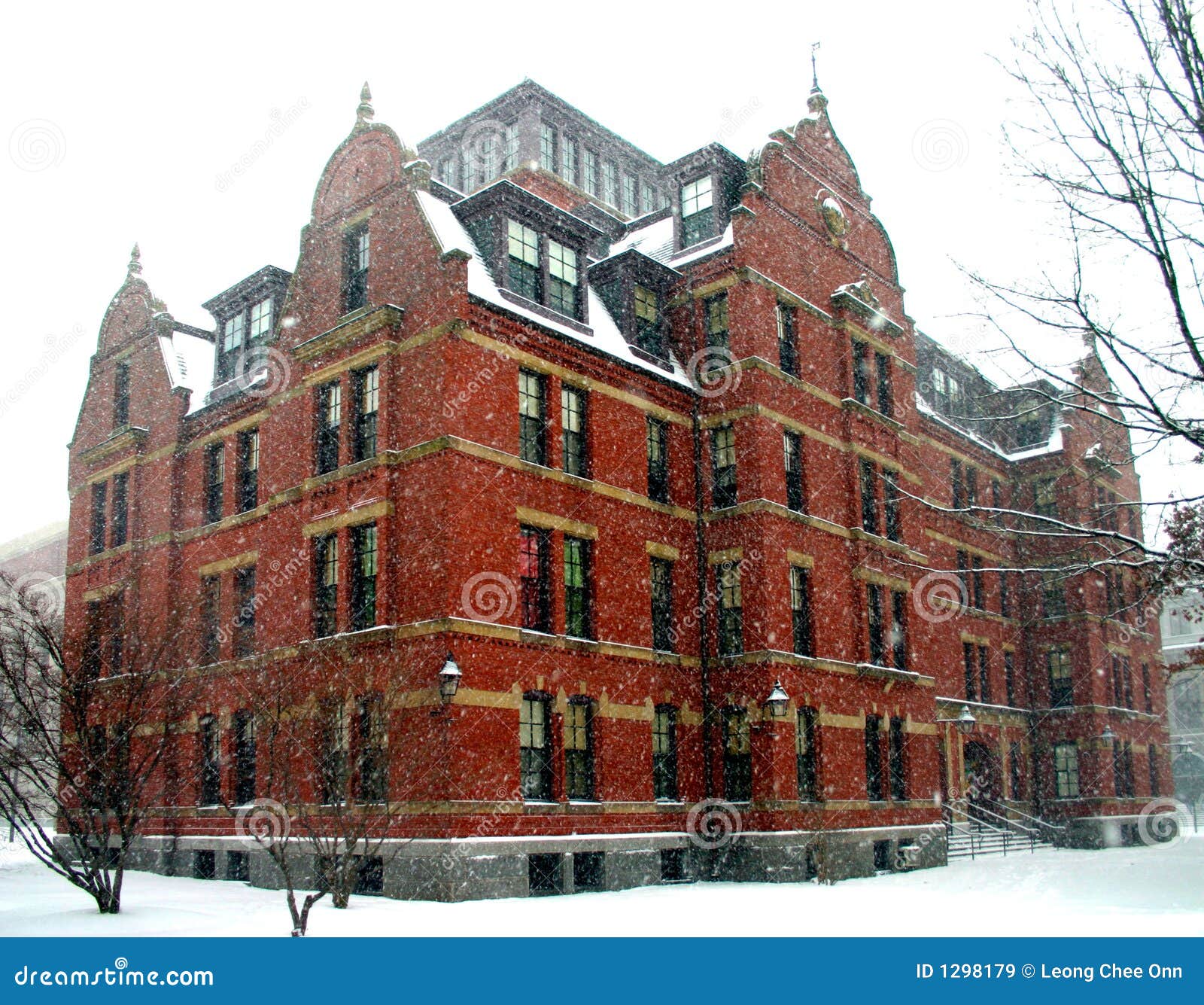 Harvard in de winter stock afbeelding. Image of campus - 1298179