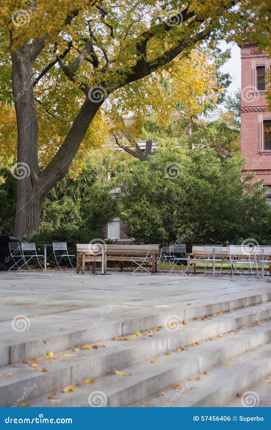 Harvard University campus stock photo. Image of school - 57456406