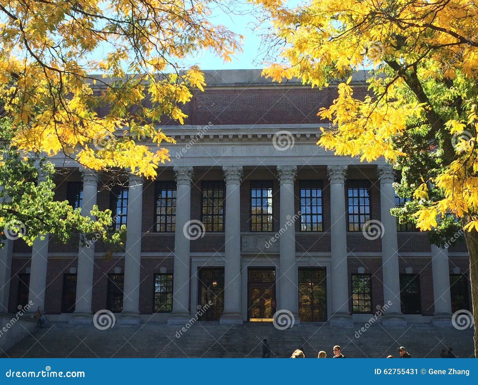 Harvard University stock image. Image of boston, snowing - 62755431