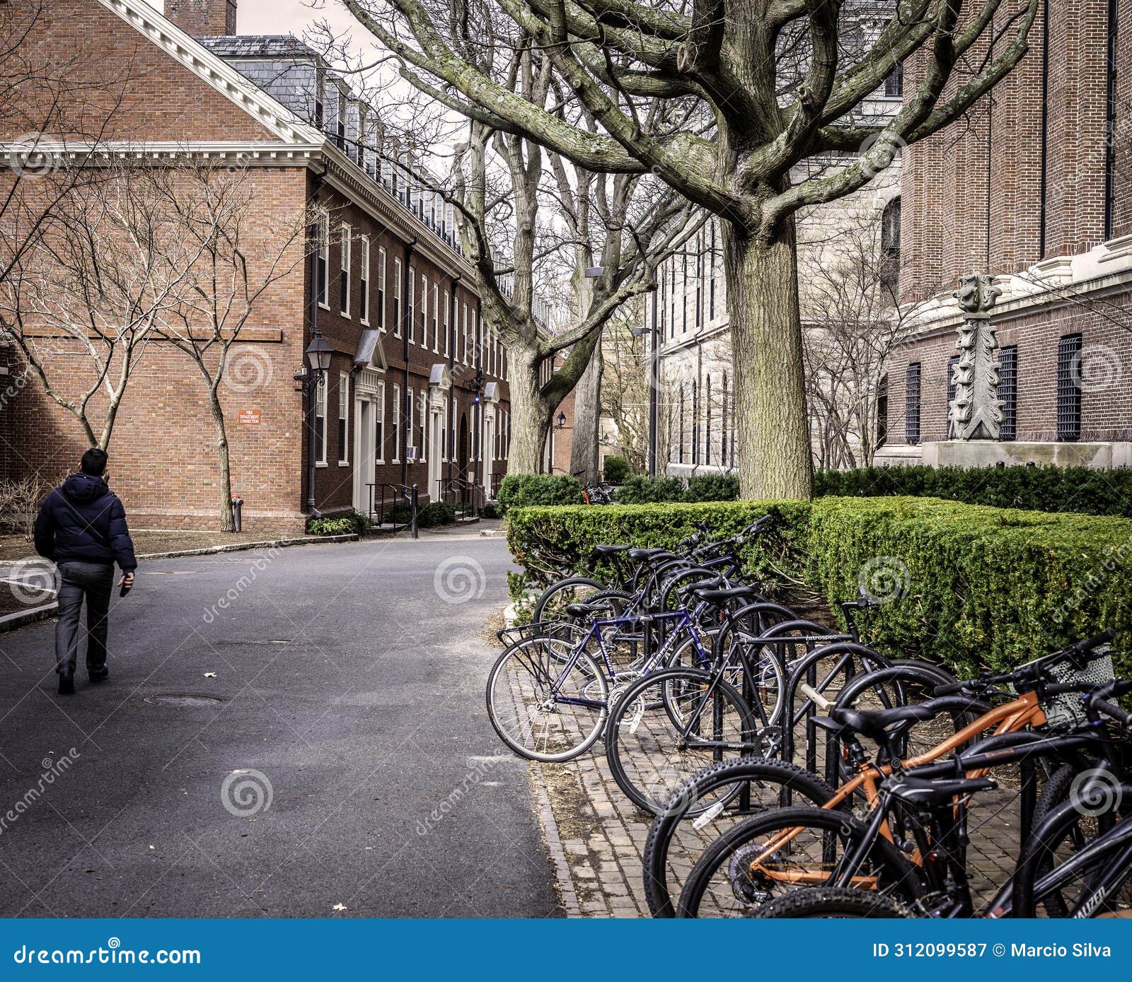 Harvard University editorial photography. Image of england - 312099587