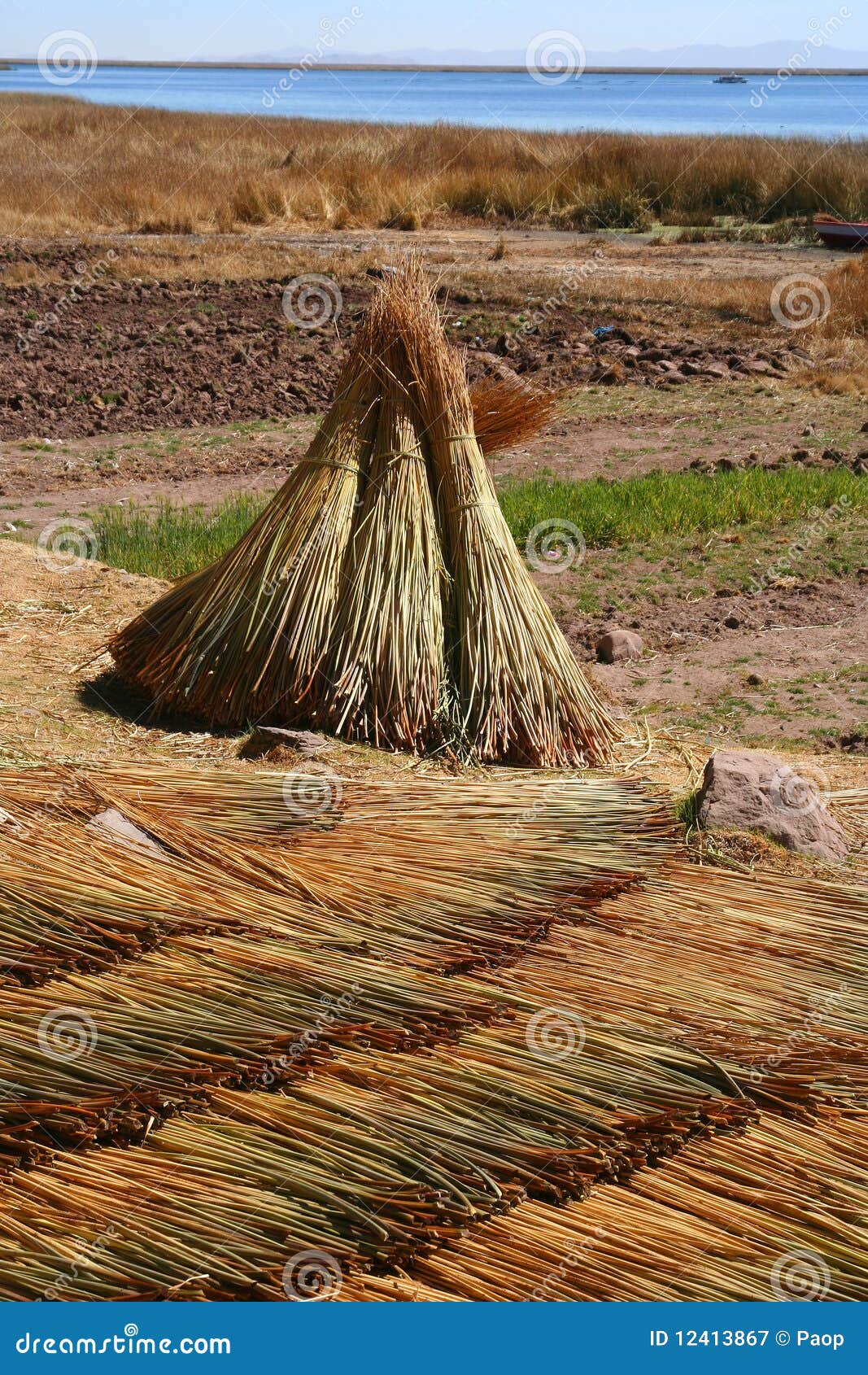 Hay stack at harvest stock image. Image of cultivate - 12413867