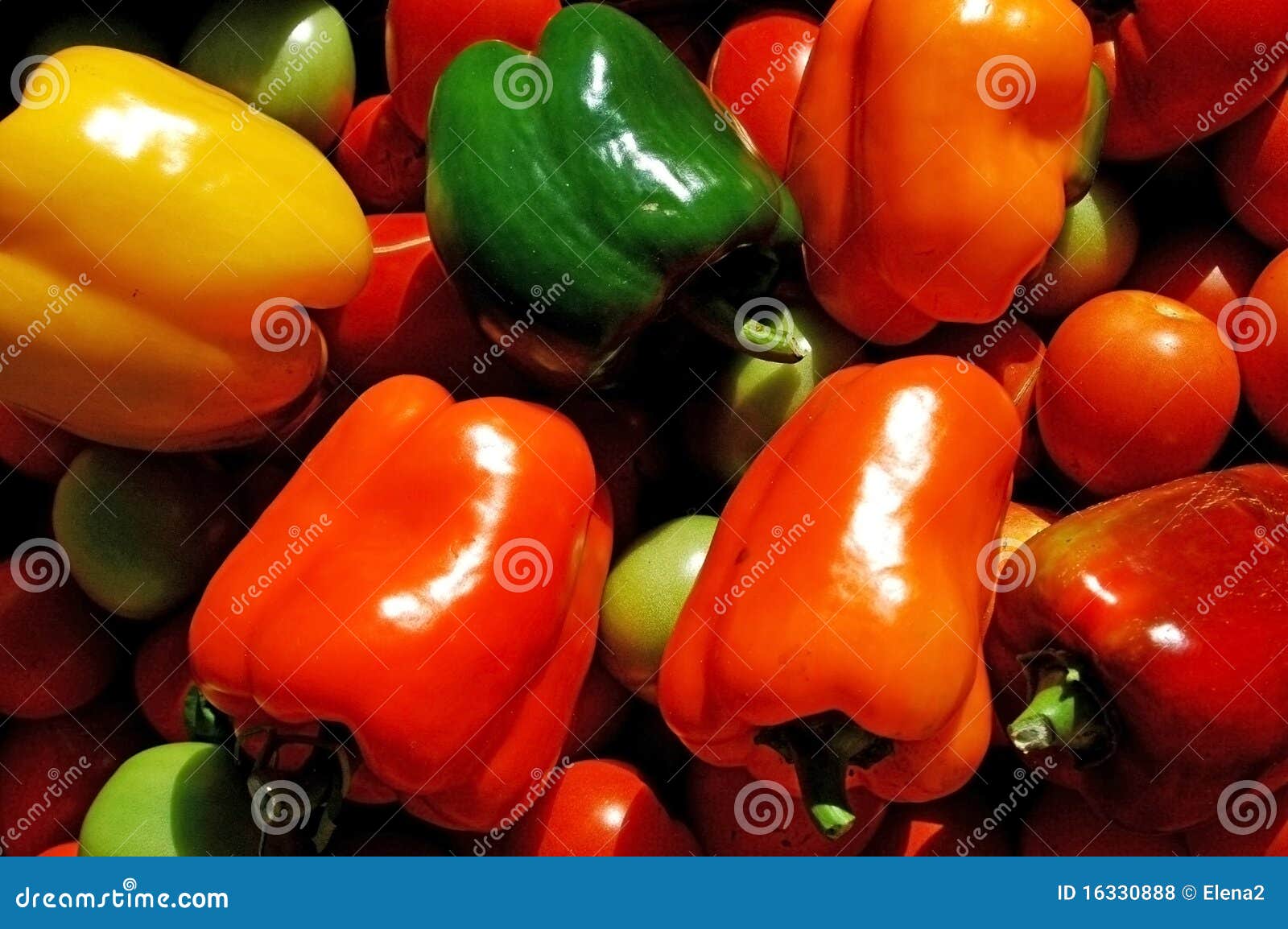 Harvest stock photo. Image of paprika, harvest, vitamins - 16330888