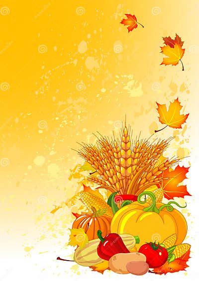 Harvest background stock vector. Illustration of squash - 21868292