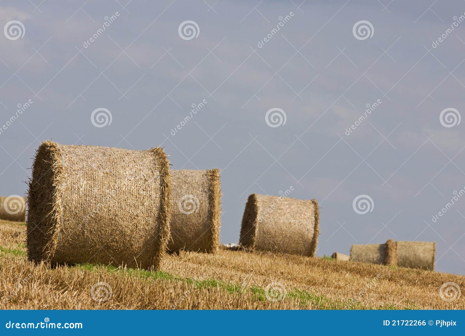 Harvest Bales on the Horizon Stock Photo - Image of hill, english: 21722266