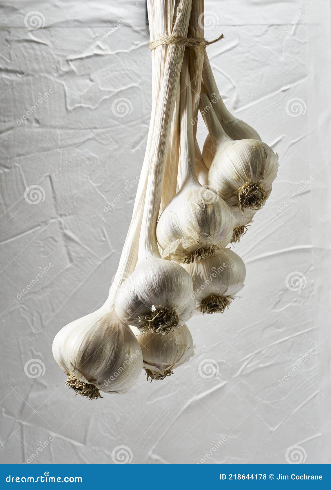 The Harvest of a Bunch of Garlic Hung Drying and Spinning Slowly. on a ...