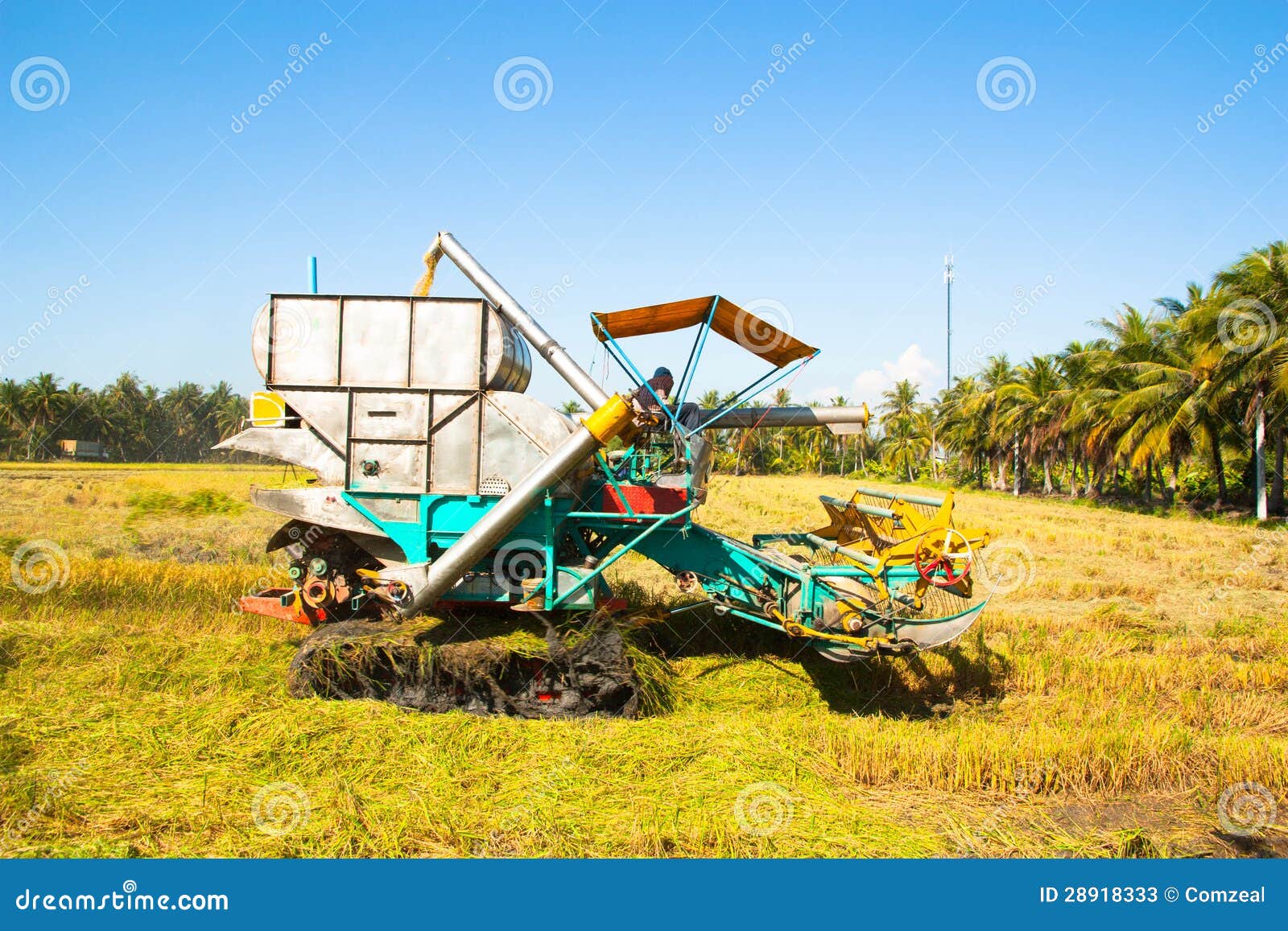 Harvest Car in the Rice Field Stock Image - Image of harvester ...