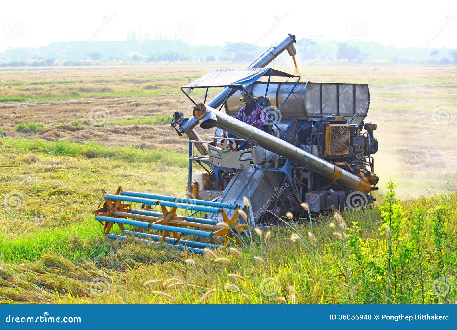 Rice Tractor In The Rice Field At Dawn Stock Photography ...