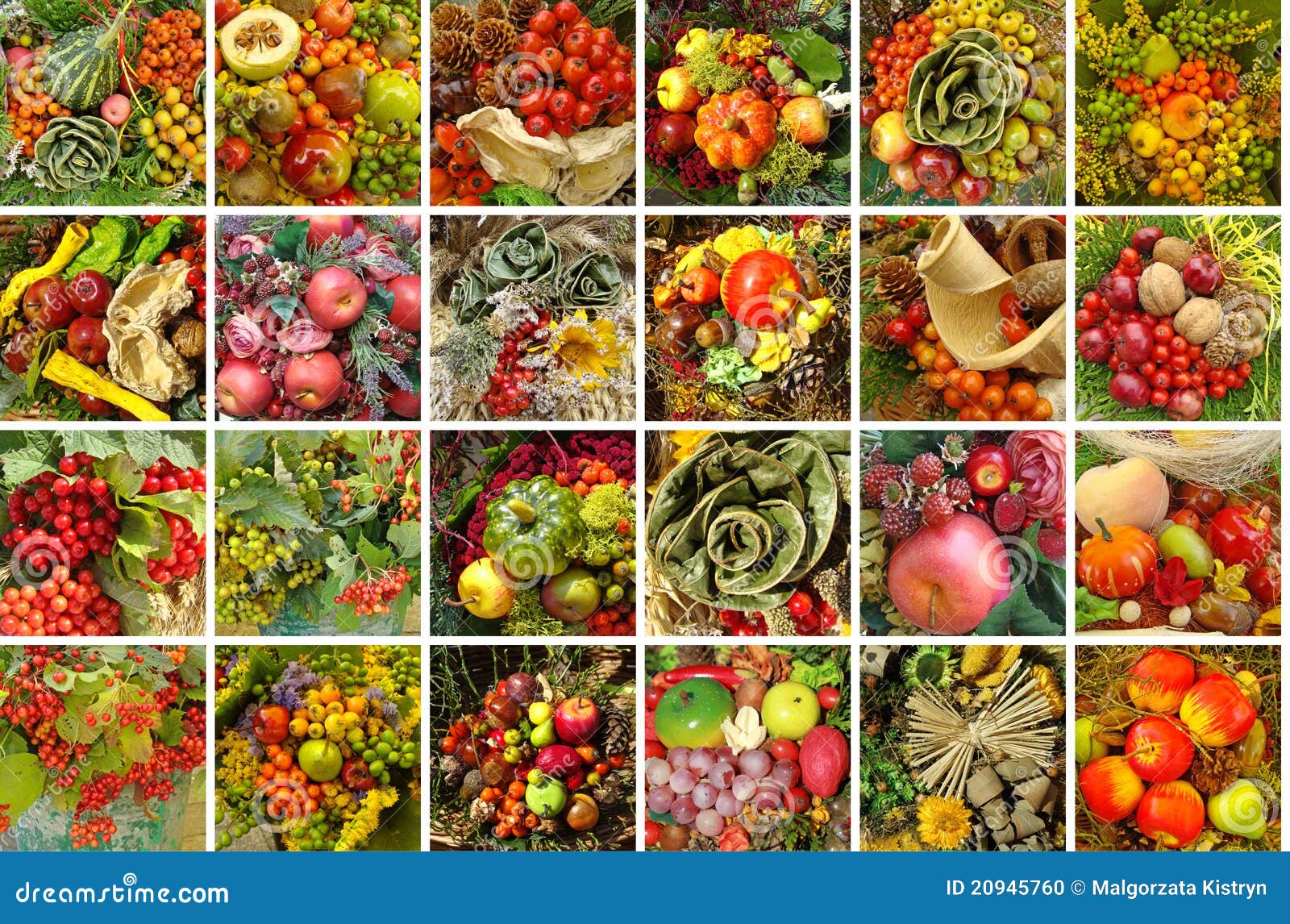 Harvest collage stock photo. Image of floral, fall, garden - 20945760