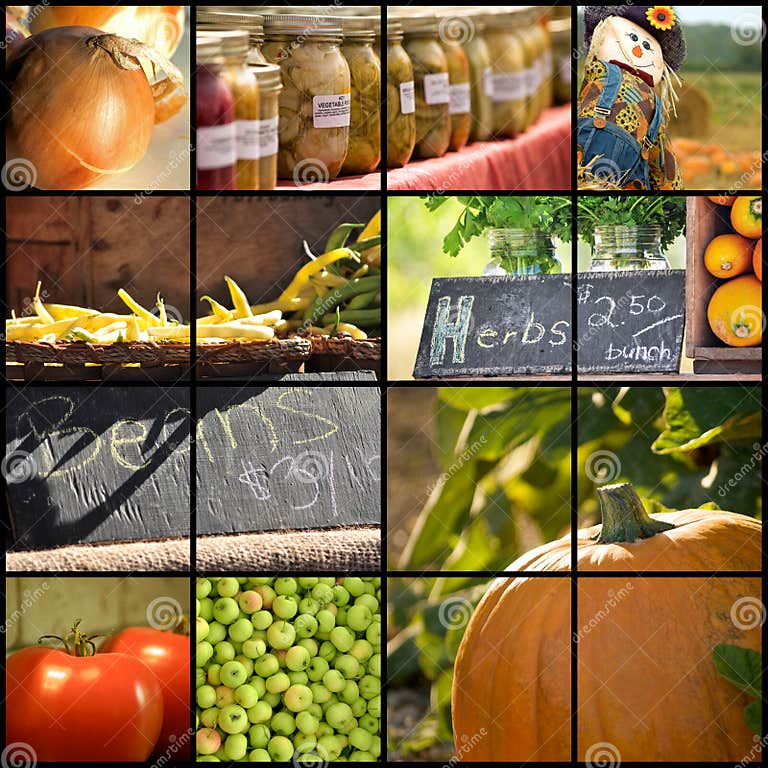 Harvest collage stock image. Image of beans, cottage - 29284739