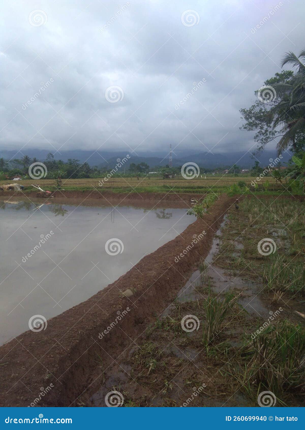 After the Harvest is Complete, the Water Flows with the Farmer Stock ...