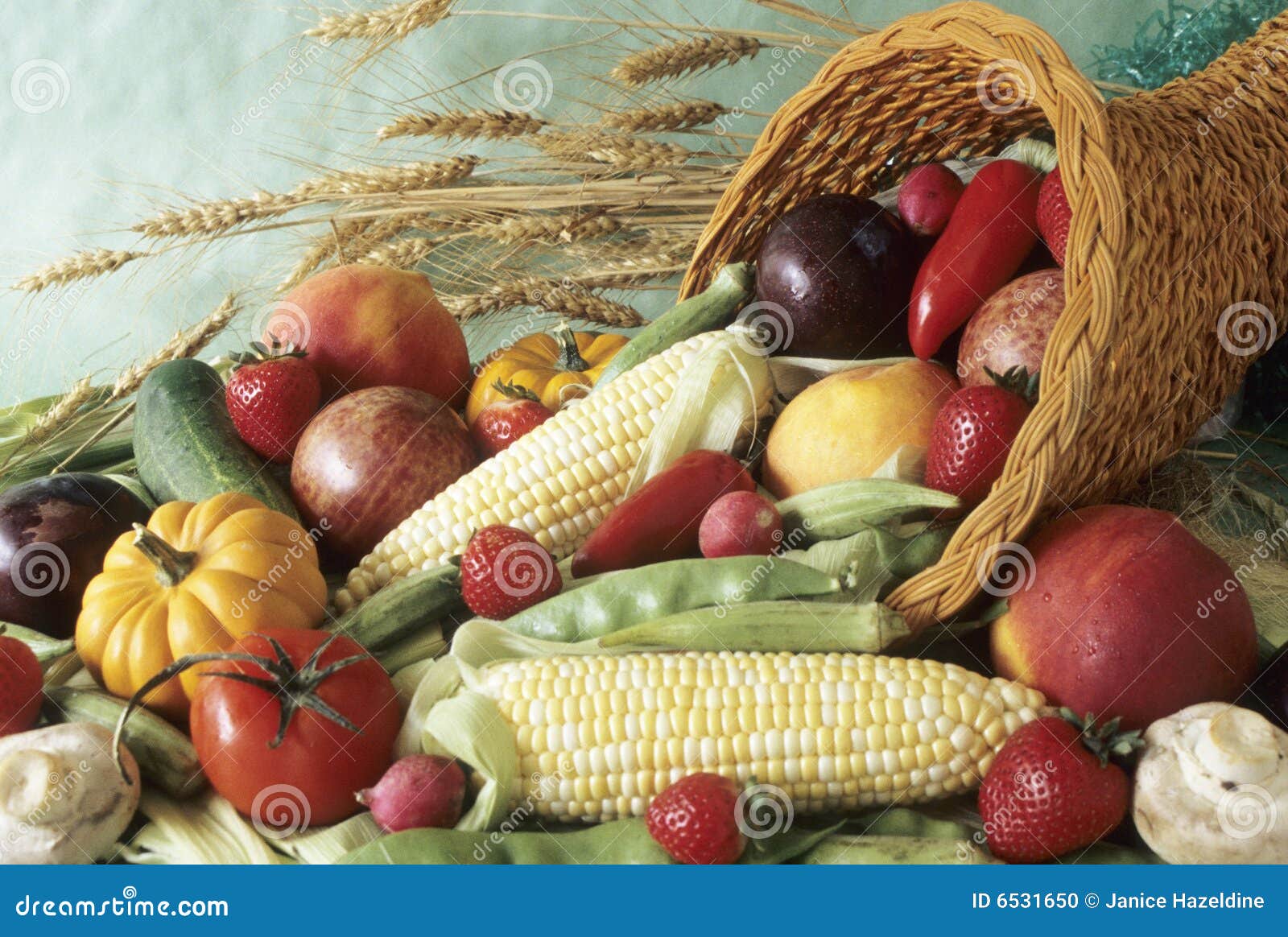 Harvest cornucopia stock photo. Image of bounty, fruits - 6531650