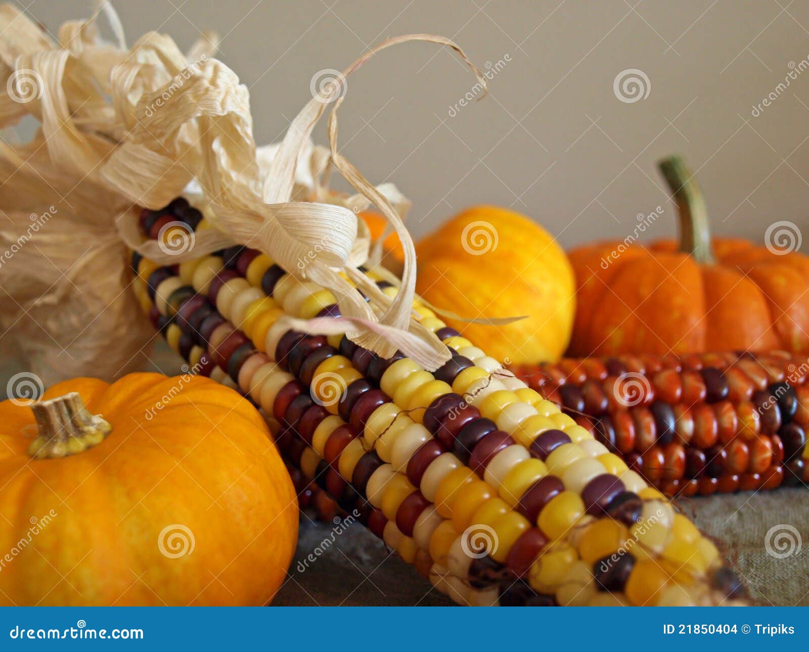 Harvest decor stock photo. Image of garden, farm, fall - 21850404