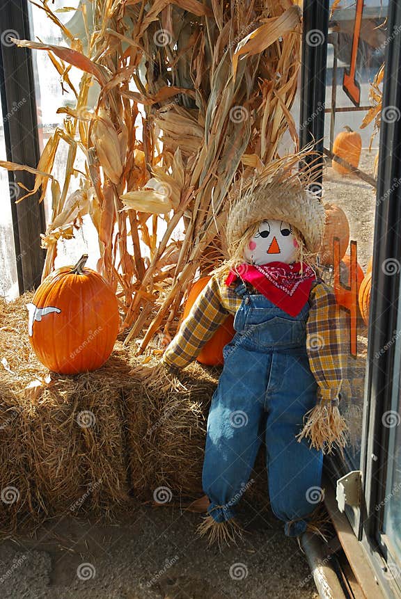 Harvest Decorations stock image. Image of farm, agriculture - 6632955