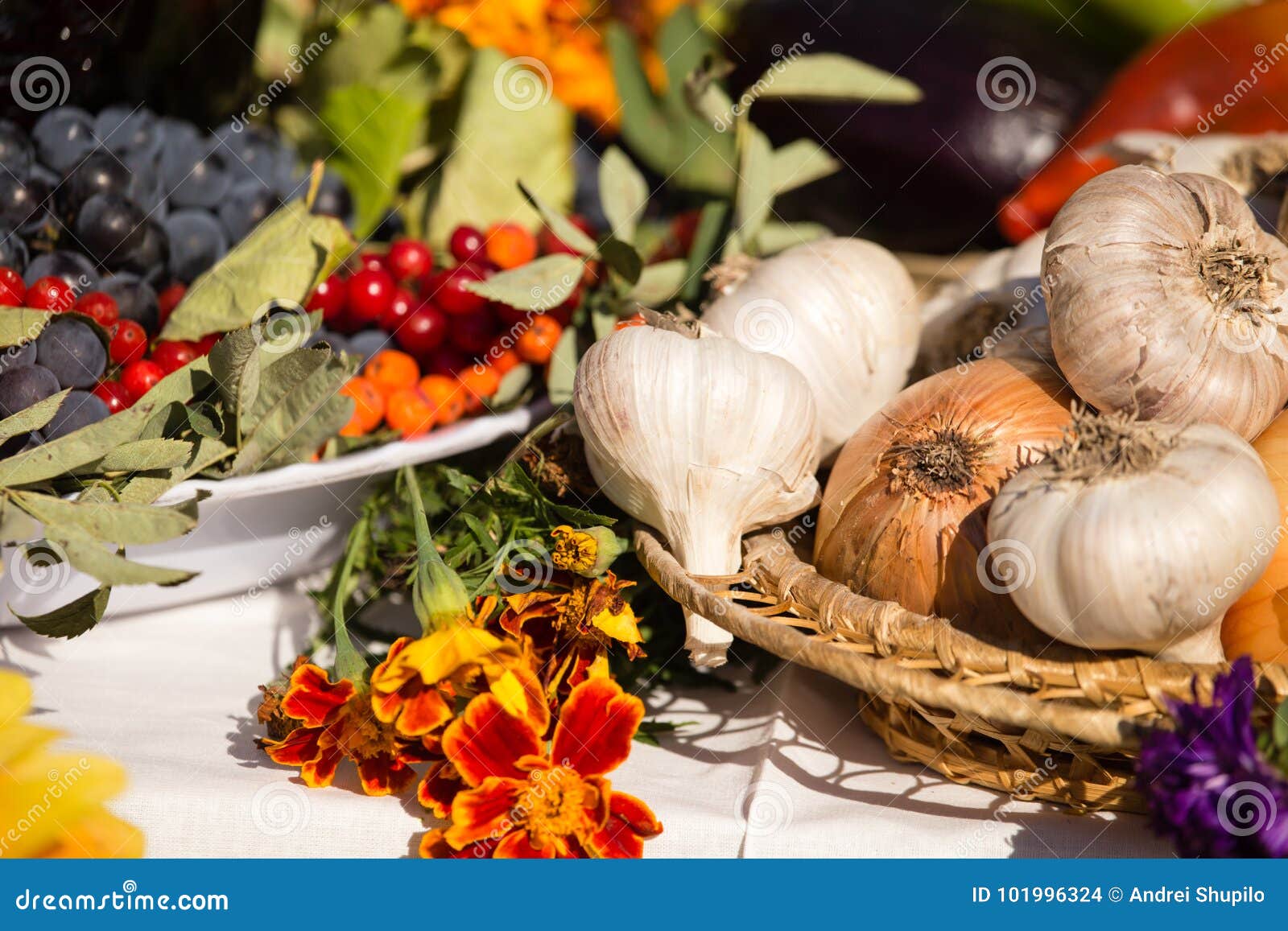 The Harvest of Different Vegetables in the Fall Stock Photo - Image of ...