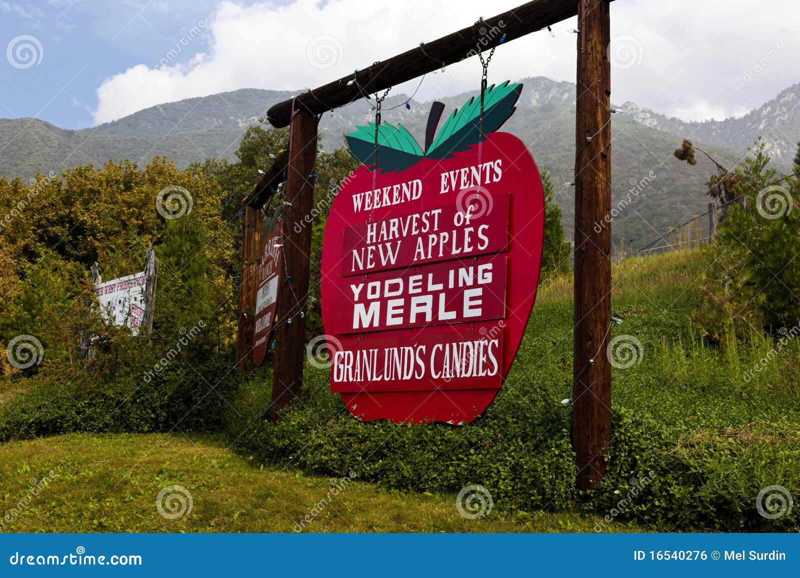 Harvest Festival, Apple Picking Editorial Photo - Image of california ...
