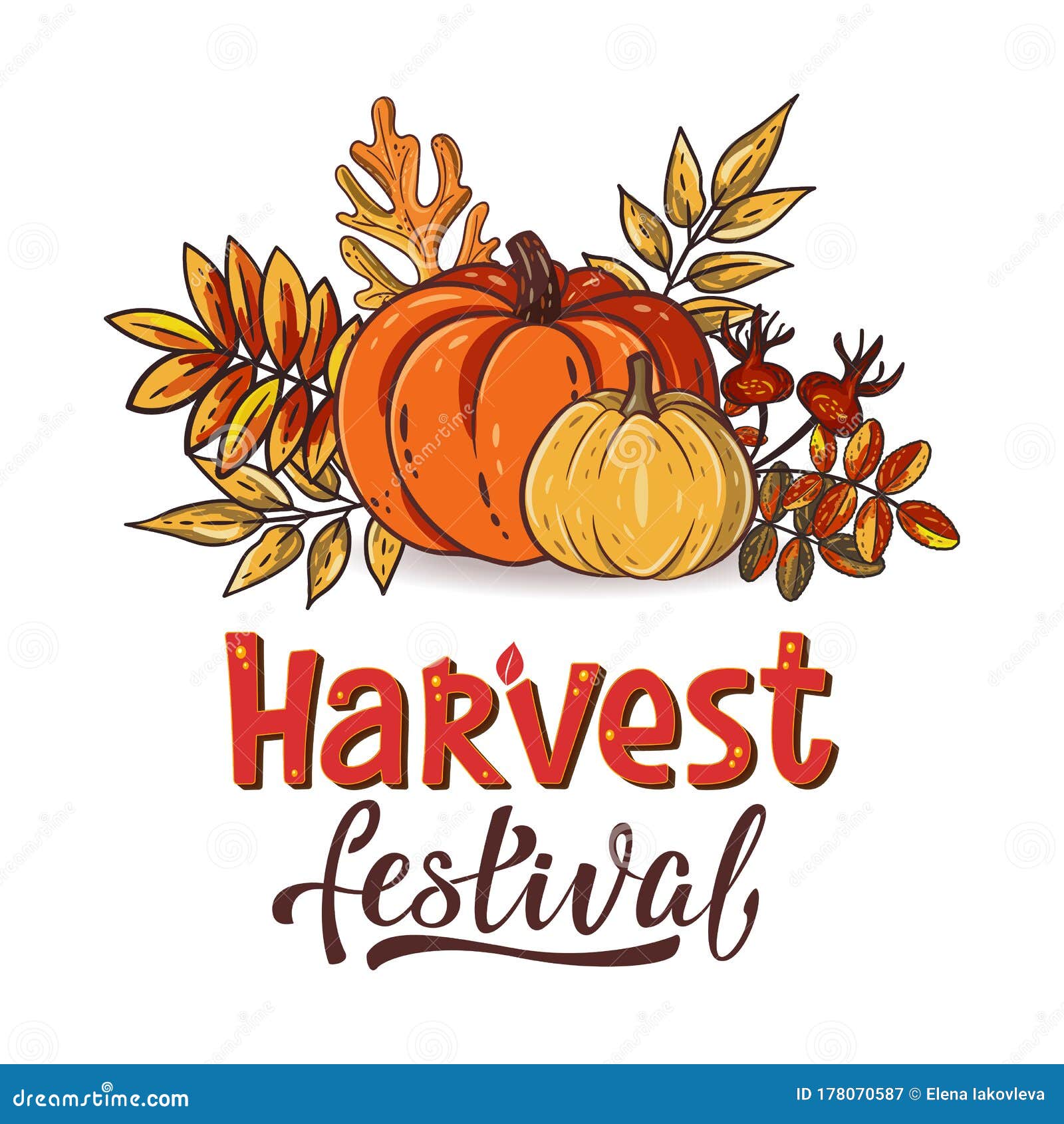 Harvest Festival Hand Drawn Lettering Text with Autumn Leaves and ... Harvest Festival Hand Drawn Lettering Text with Autumn Leaves and ...