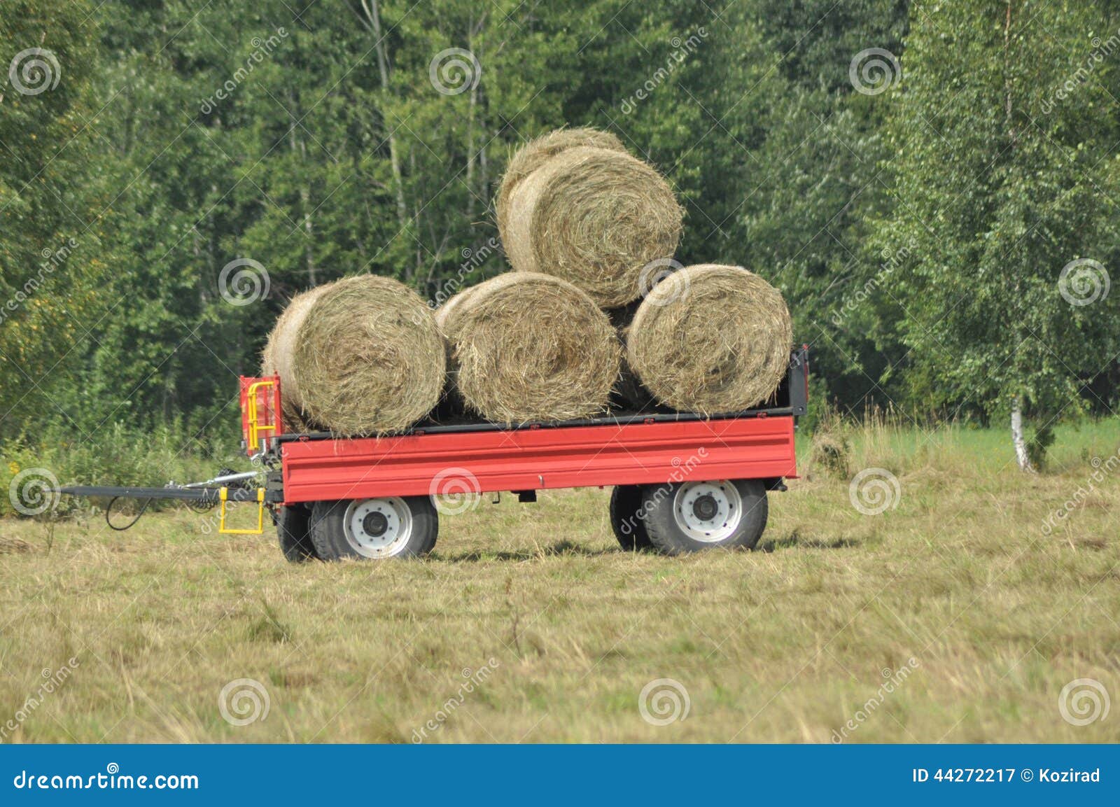 Harvest in the Fields. Straw Bales Collapsed Stock Image - Image of ...
