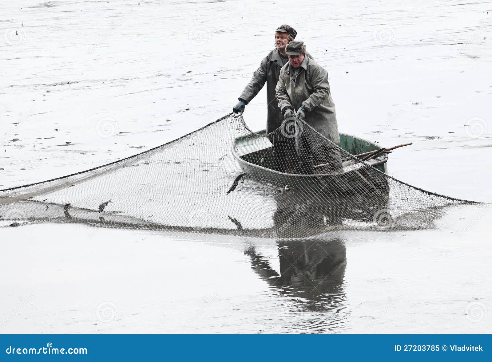 Harvest of fishpond. editorial image. Image of breeding - 27203785