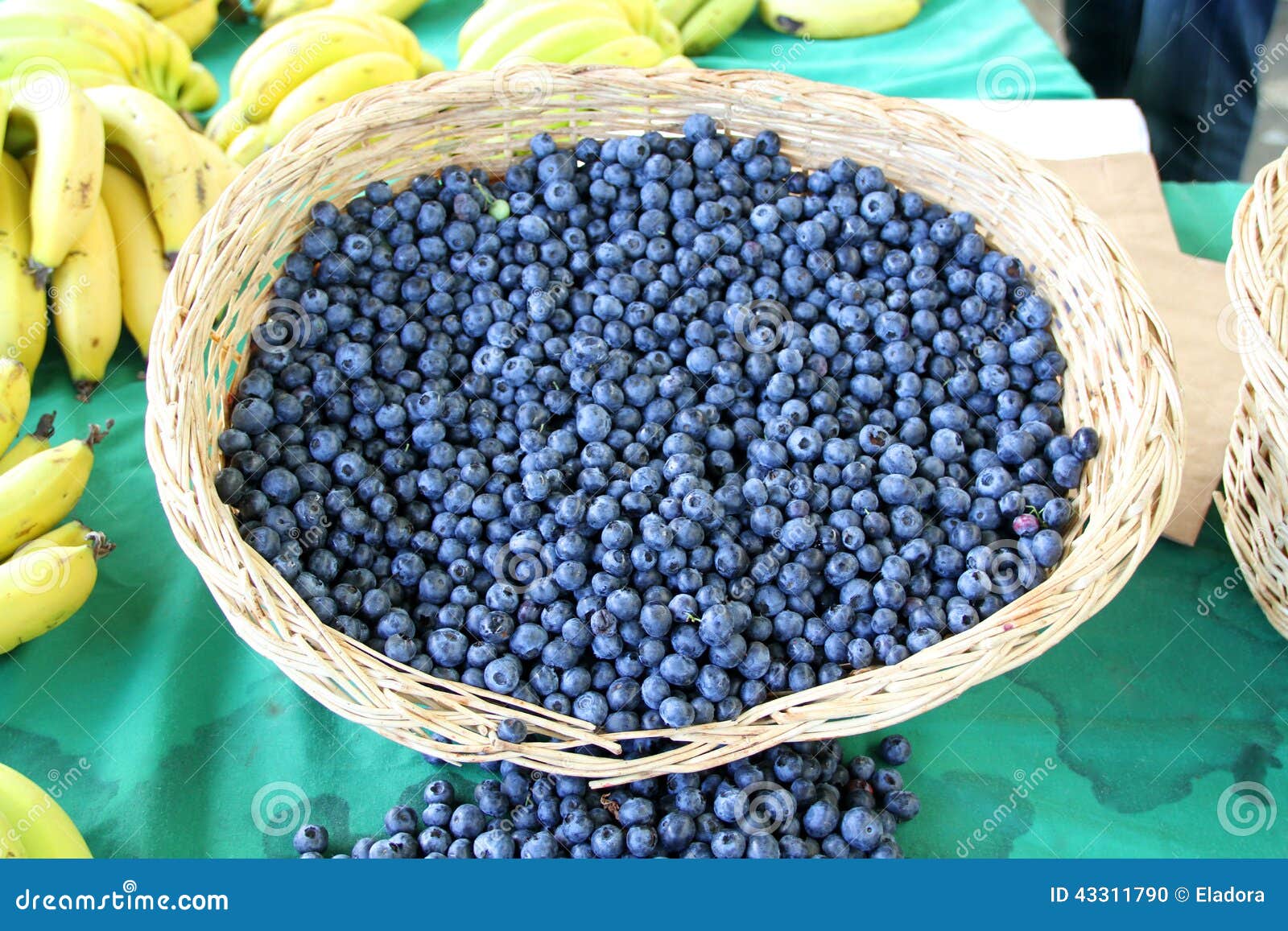 Harvest of Fresh Acai Berries Stock Photo - Image of acai, natural ...