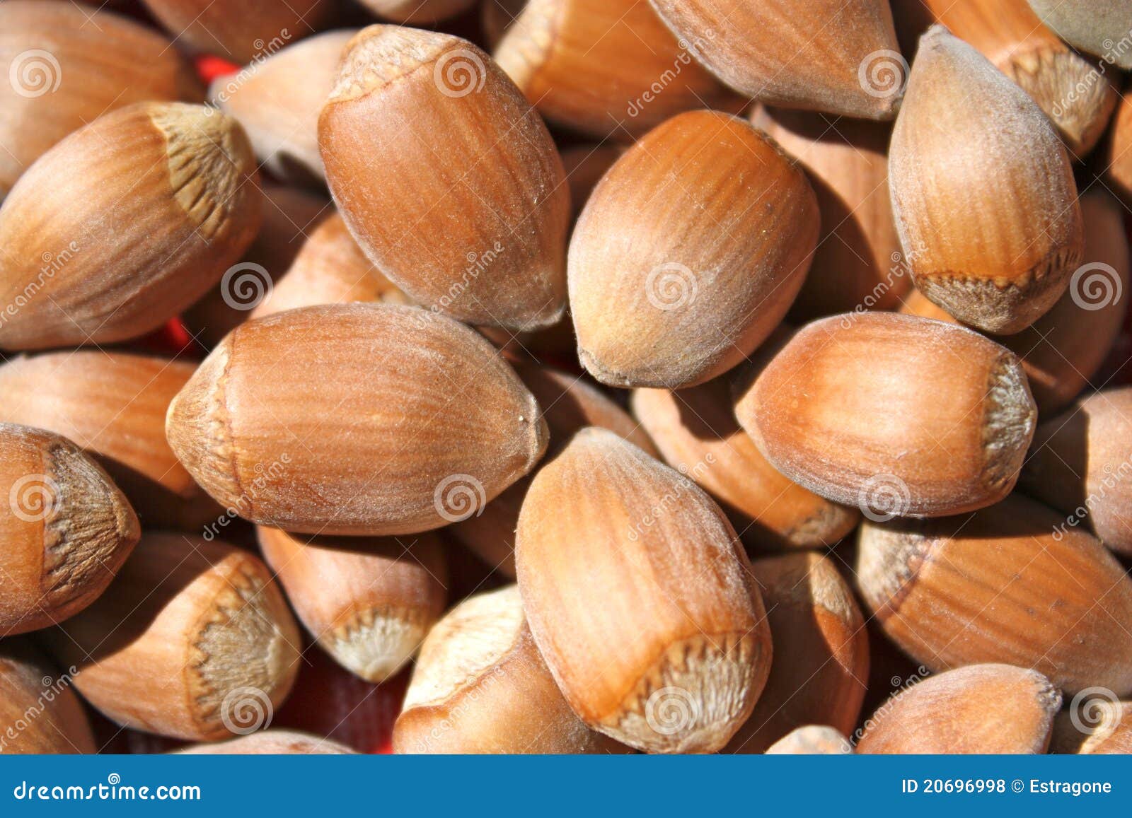 Harvest of fruits nuts stock photo. Image of seasons - 20696998