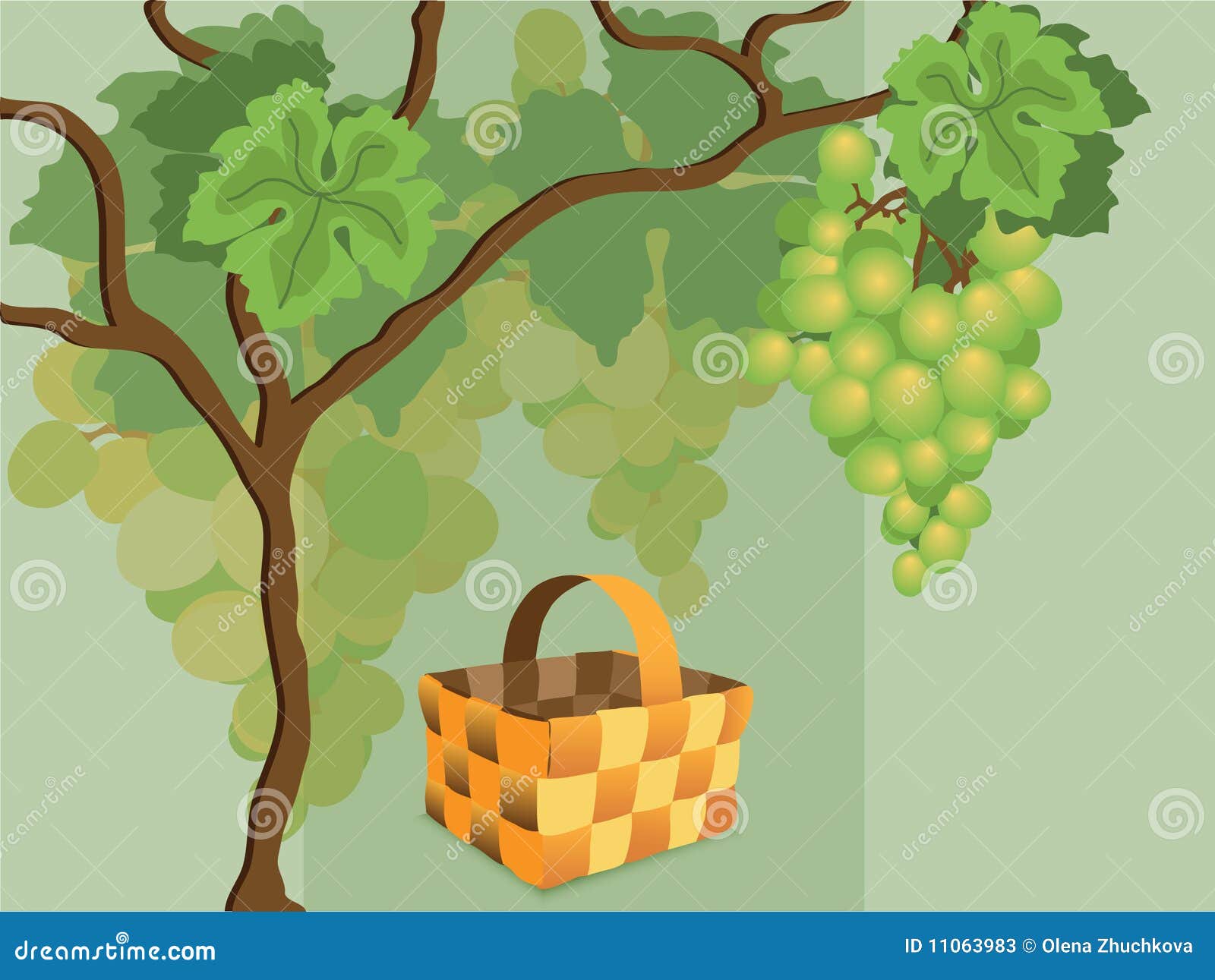 Harvest of the grapes stock vector. Illustration of nutrition - 11063983