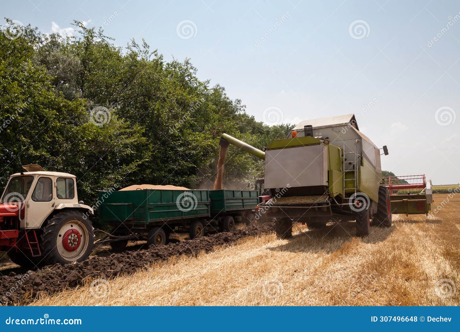 Harvest Machine Loading Seeds in To Tractor Trailer Stock Photo - Image ...