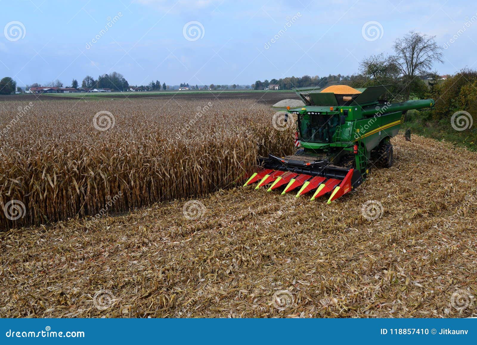 Harvest of maize, corn. editorial image. Image of transportation ...
