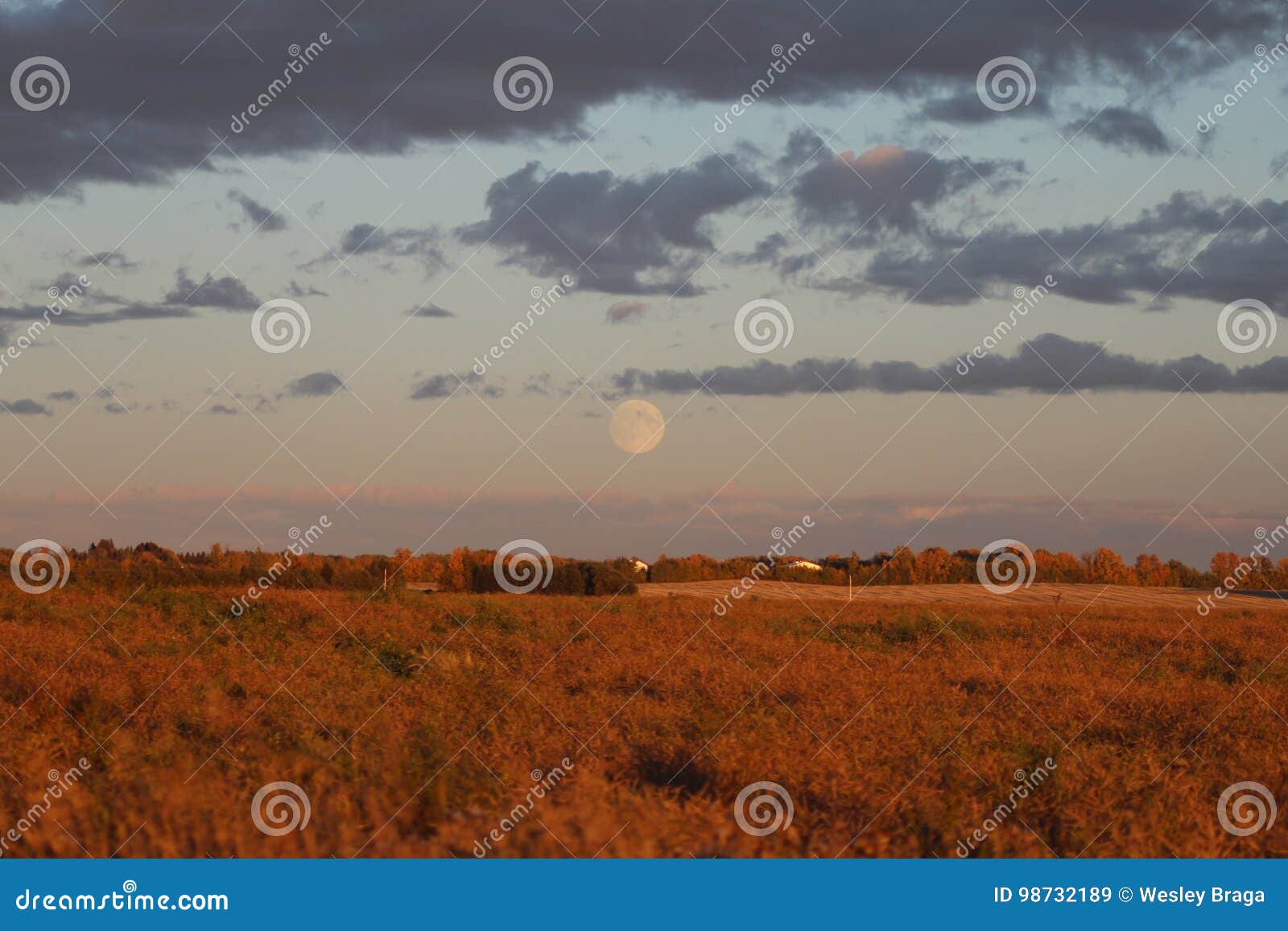 Harvest Moon Over the Prairies Stock Image - Image of setting, fields ...