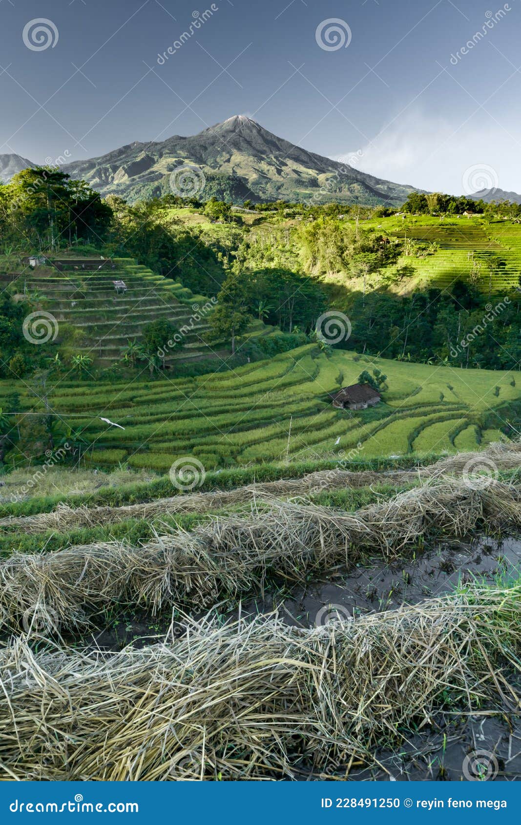 Harvest Moon on Trawas East Java Stock Photo - Image of mount, field ...