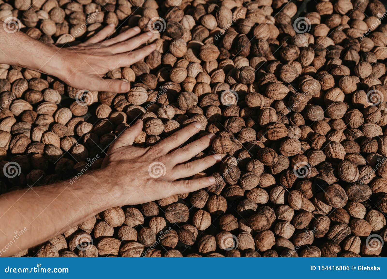 Hands Touch Layer of Walnuts Stock Photo - Image of plant, diet: 154416806