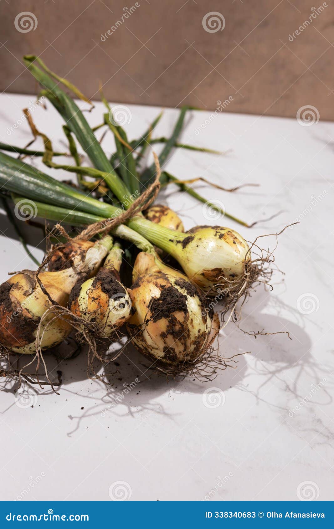 Harvest of Onions with Soil on Light Surface Food Roots Stock Image ...