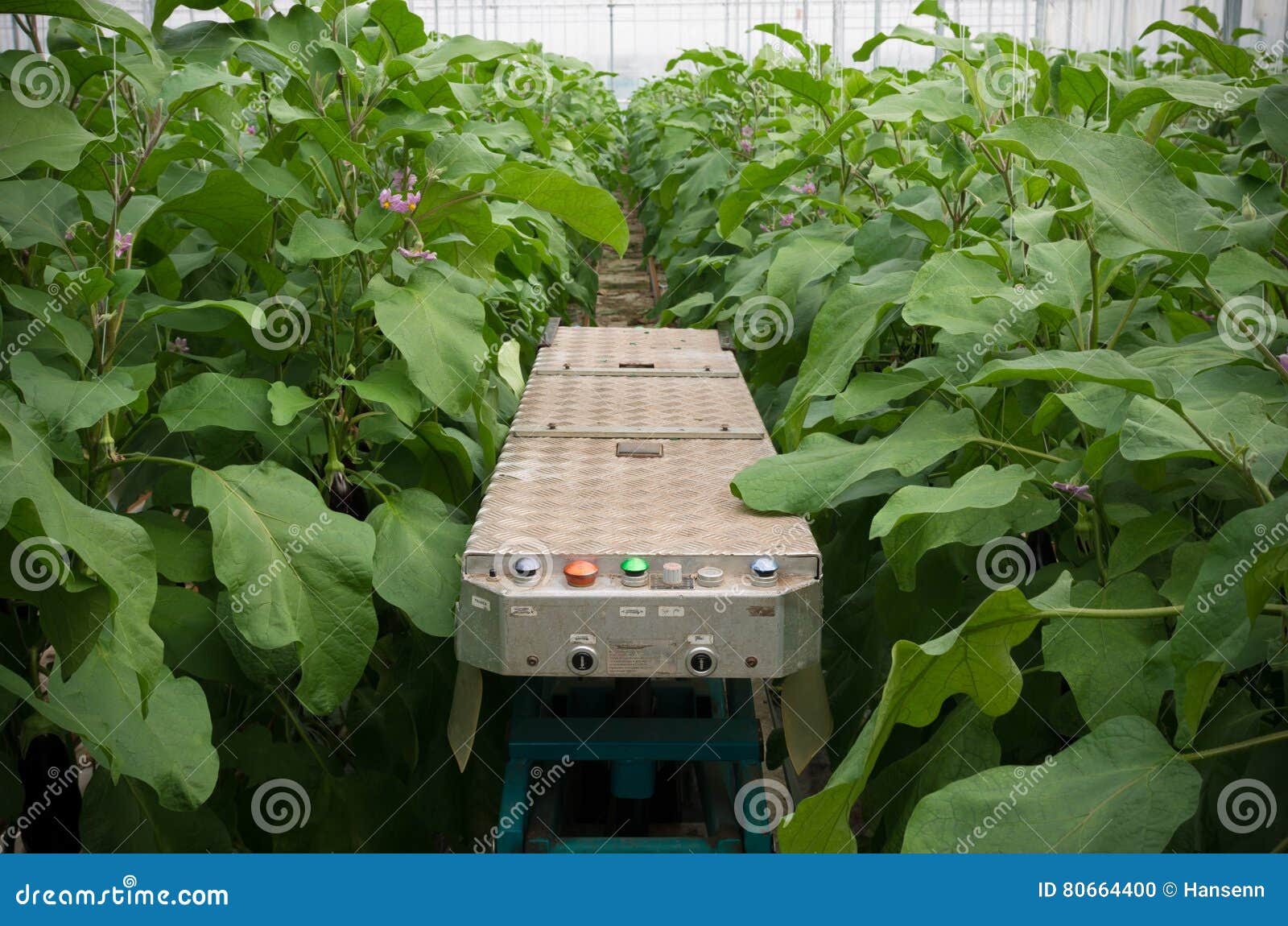 Harvest platform stock photo. Image of saving, green - 80664400