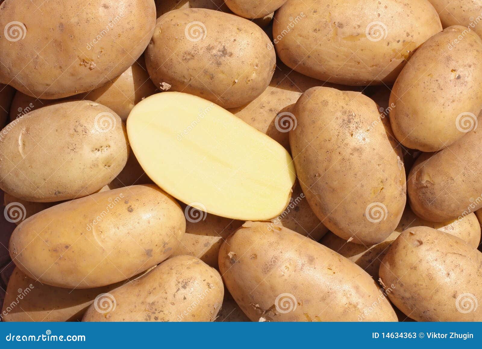 Sponta Stock Photos - Free & Royalty-Free Stock Photos from Dreamstime