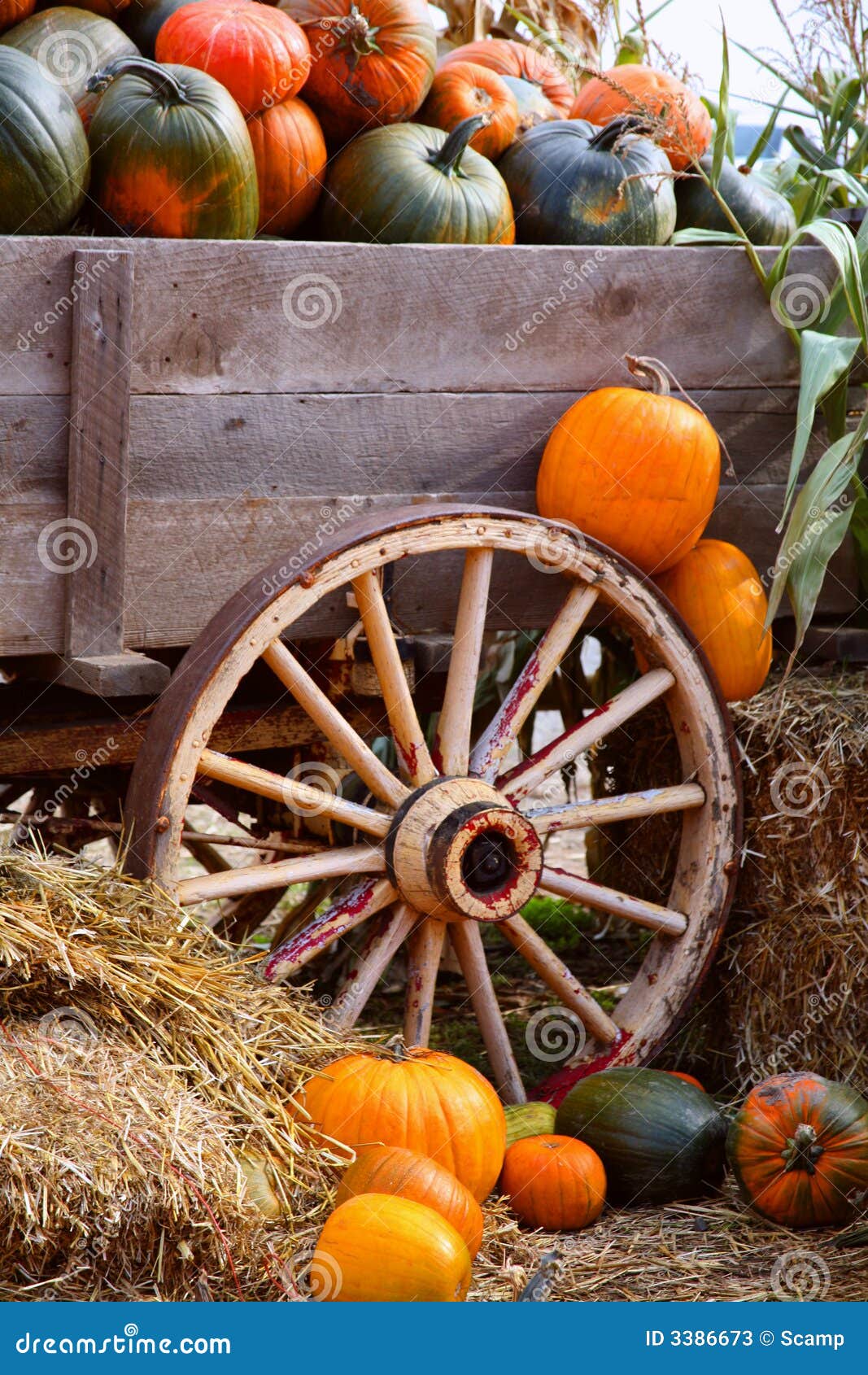Harvest Pumpkin Wagon stock image. Image of november, straw - 3386673