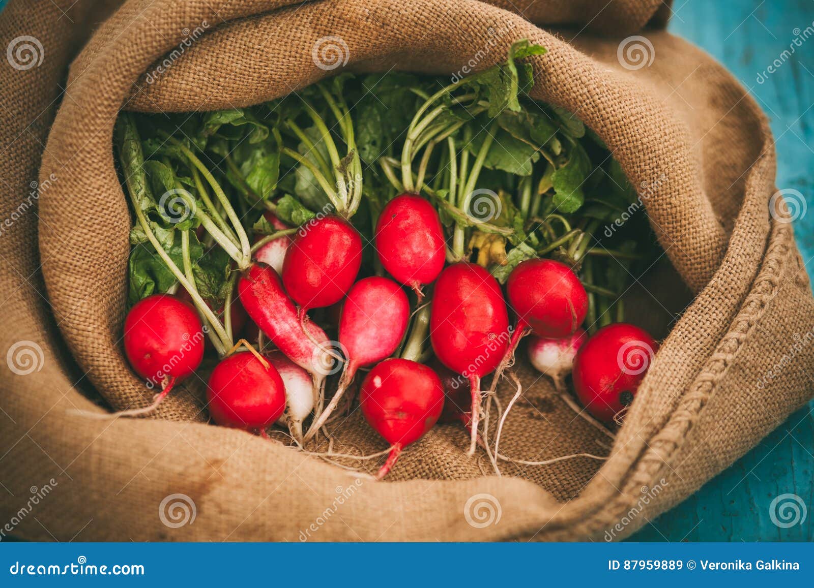 Harvest of radishes stock image. Image of growth, leaf - 87959889